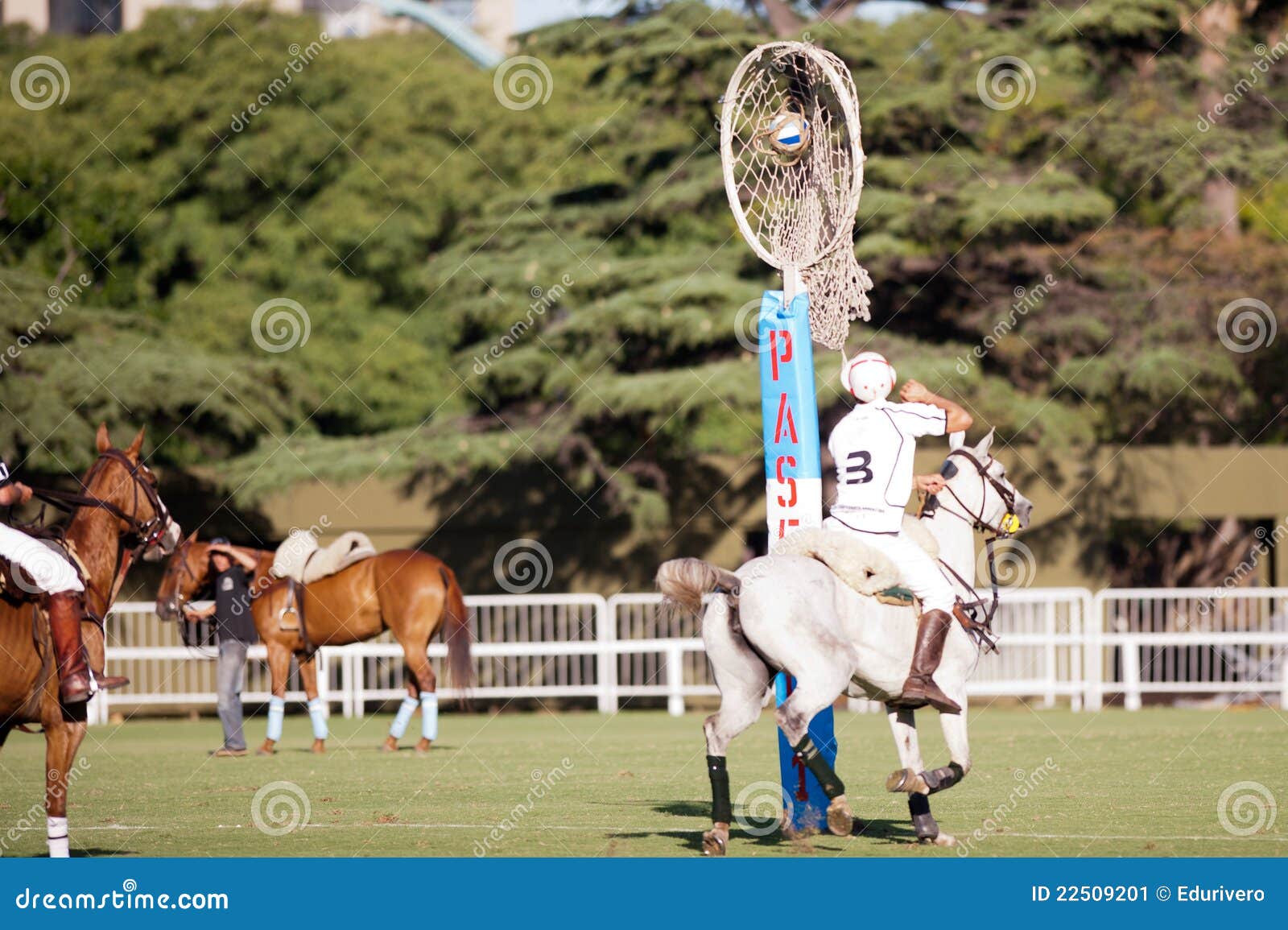 Grand Final of 70th Argentina Pato Open. Editorial Photo - Image of ...