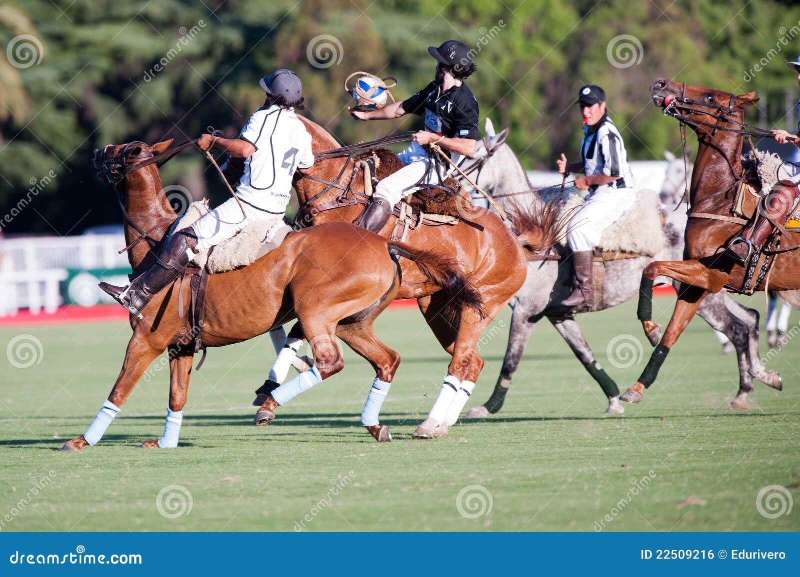 Grand Final of 70th Argentina Pato Open. Editorial Photo - Image of ...