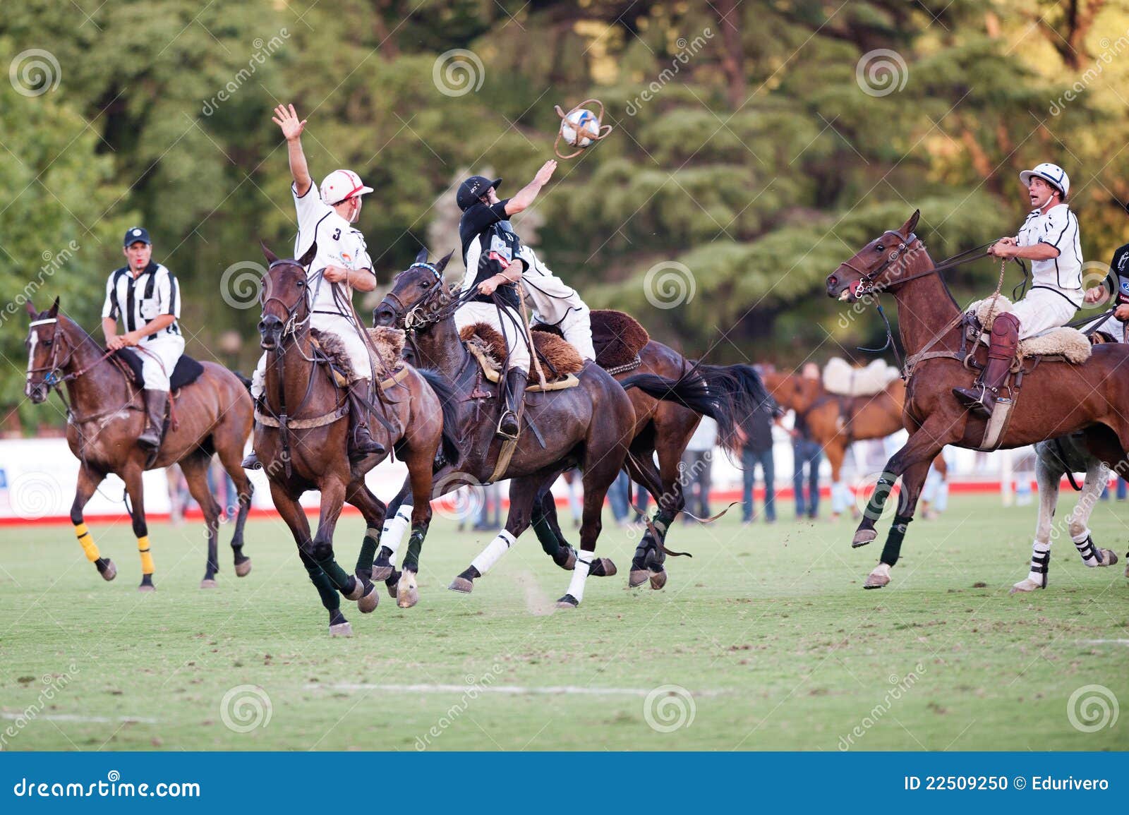 Grand Final of 70th Argentina Pato Open. Editorial Image - Image of ...