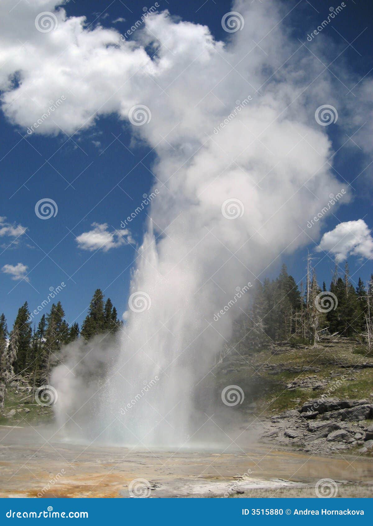 Grand Geyser stock photo. Image of yellowstone, geyser - 3515880