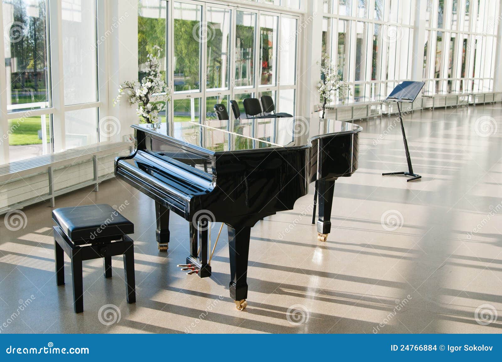 Grand piano in the hall stock photo. Image of entertainment - 24766884