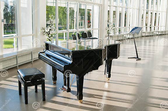 Grand piano in the hall stock photo. Image of entertainment - 24766884