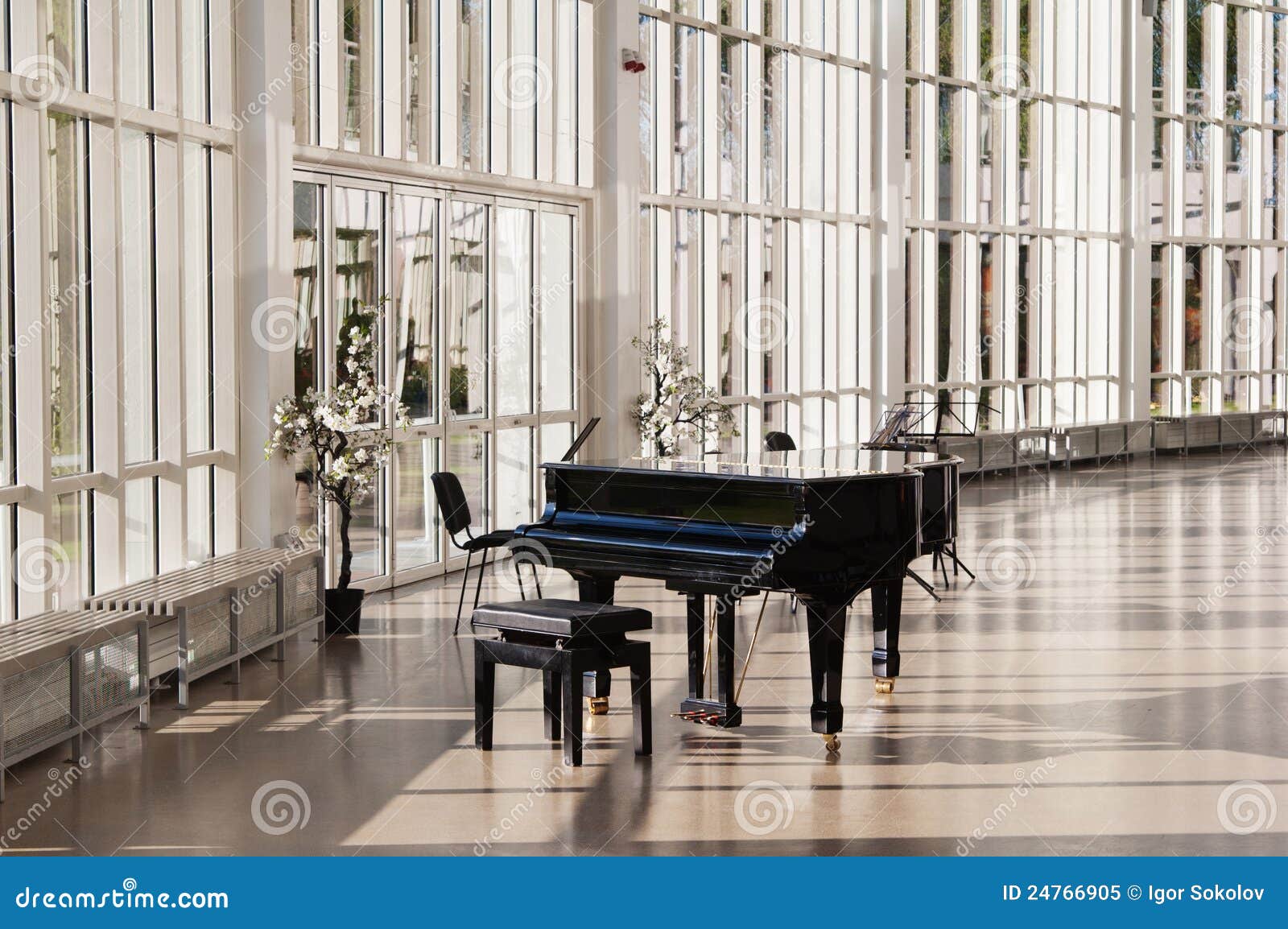 Grand piano in the hall stock image. Image of light, classical - 24766905