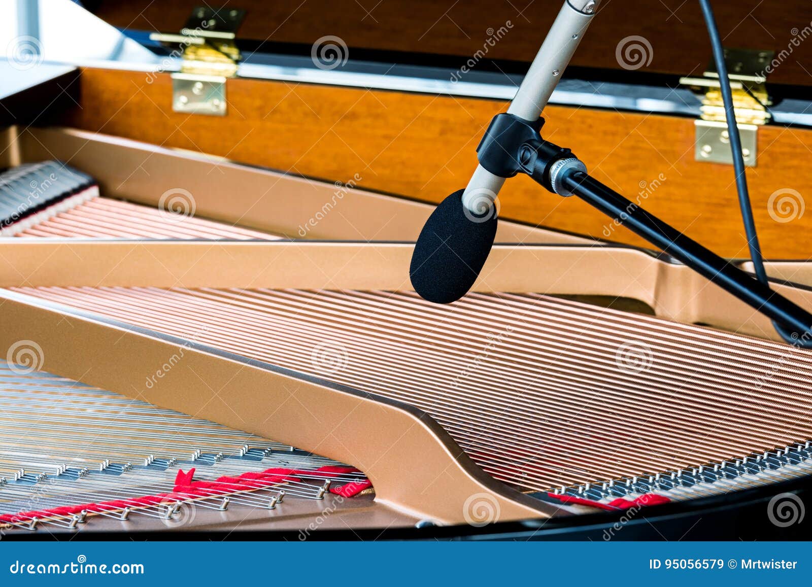 Grand Piano Strings with Microphone. Musical Instruments Closeup Stock ...