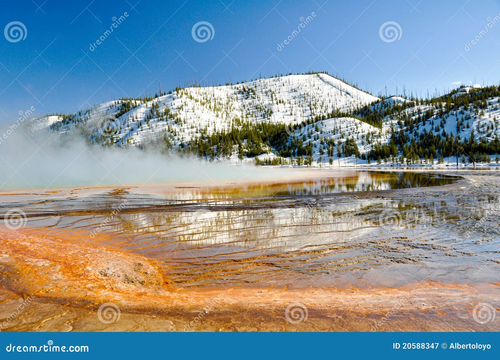 Grand Prismatic Spring, Yellowstone National Park Stock Image - Image ...