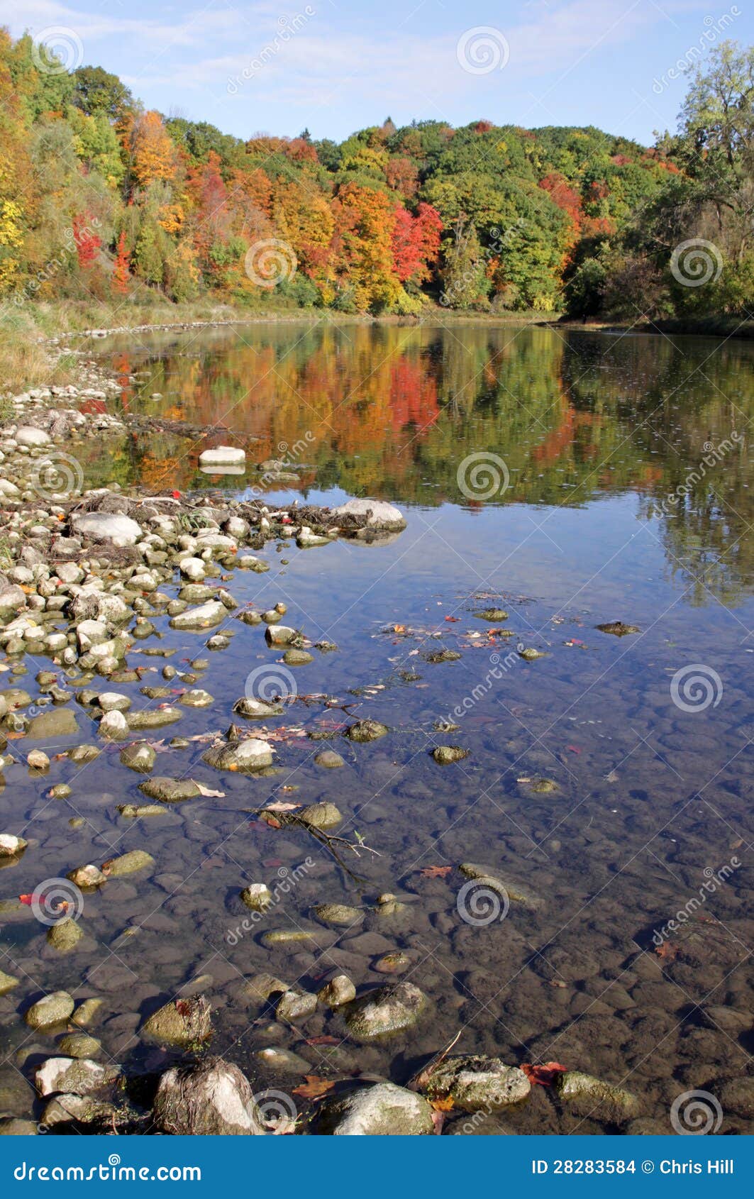Grand River Autumn Reflection Stock Photo - Image of smooth, tree: 28283584