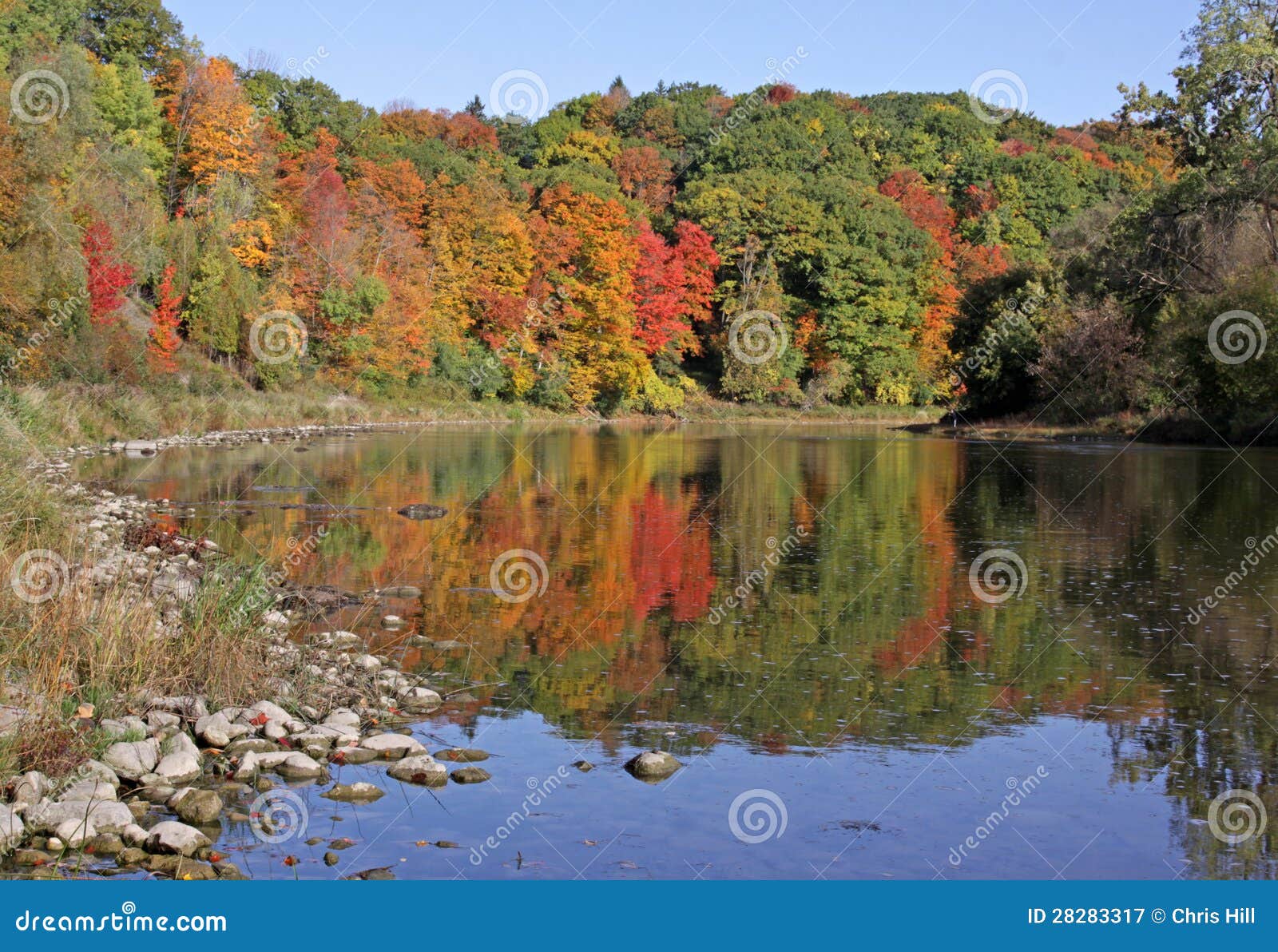 Grand River Fall Reflection Stock Image - Image of treeline, river ...