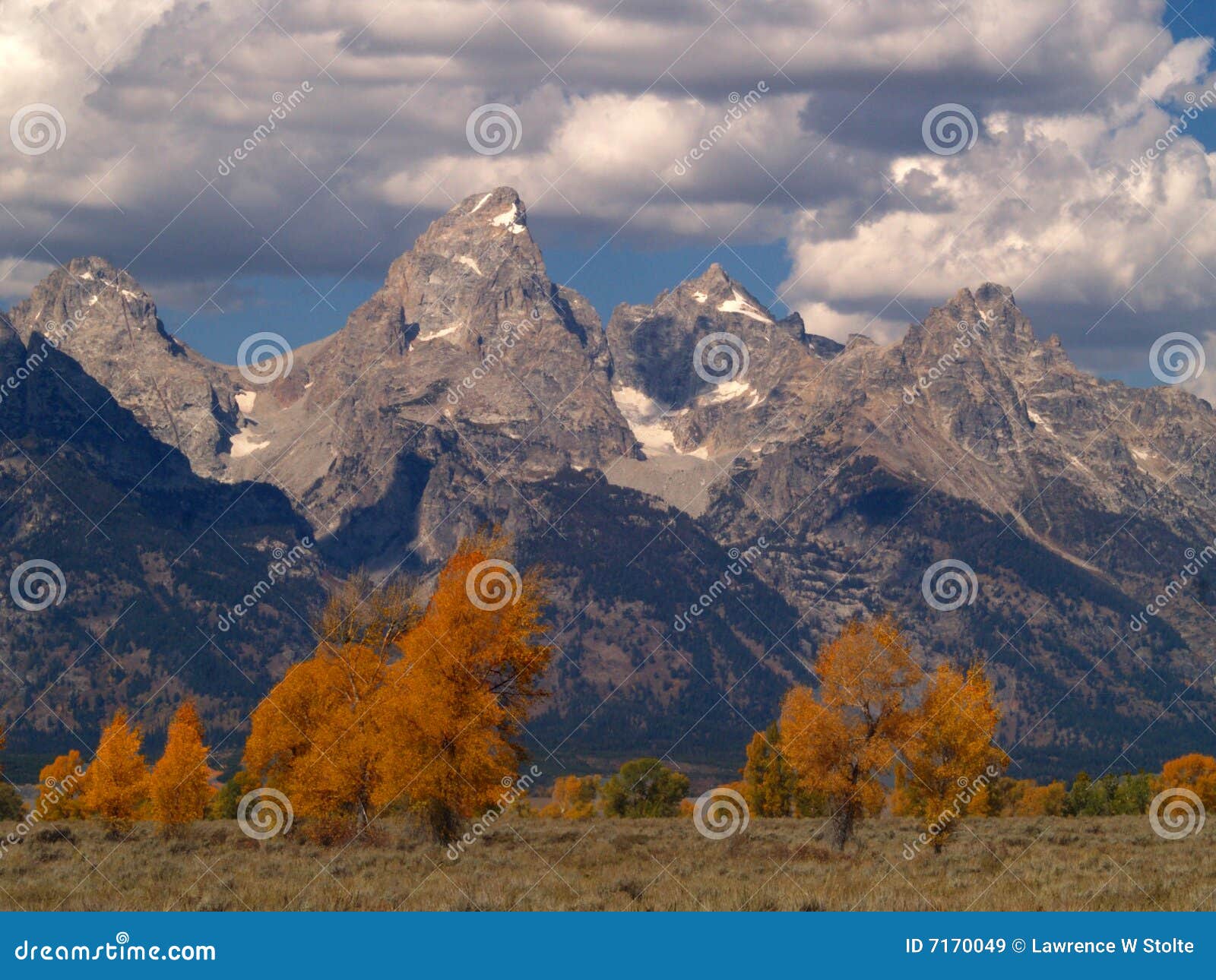 Grand Teton Autumn stock image. Image of wild, prairie - 7170049