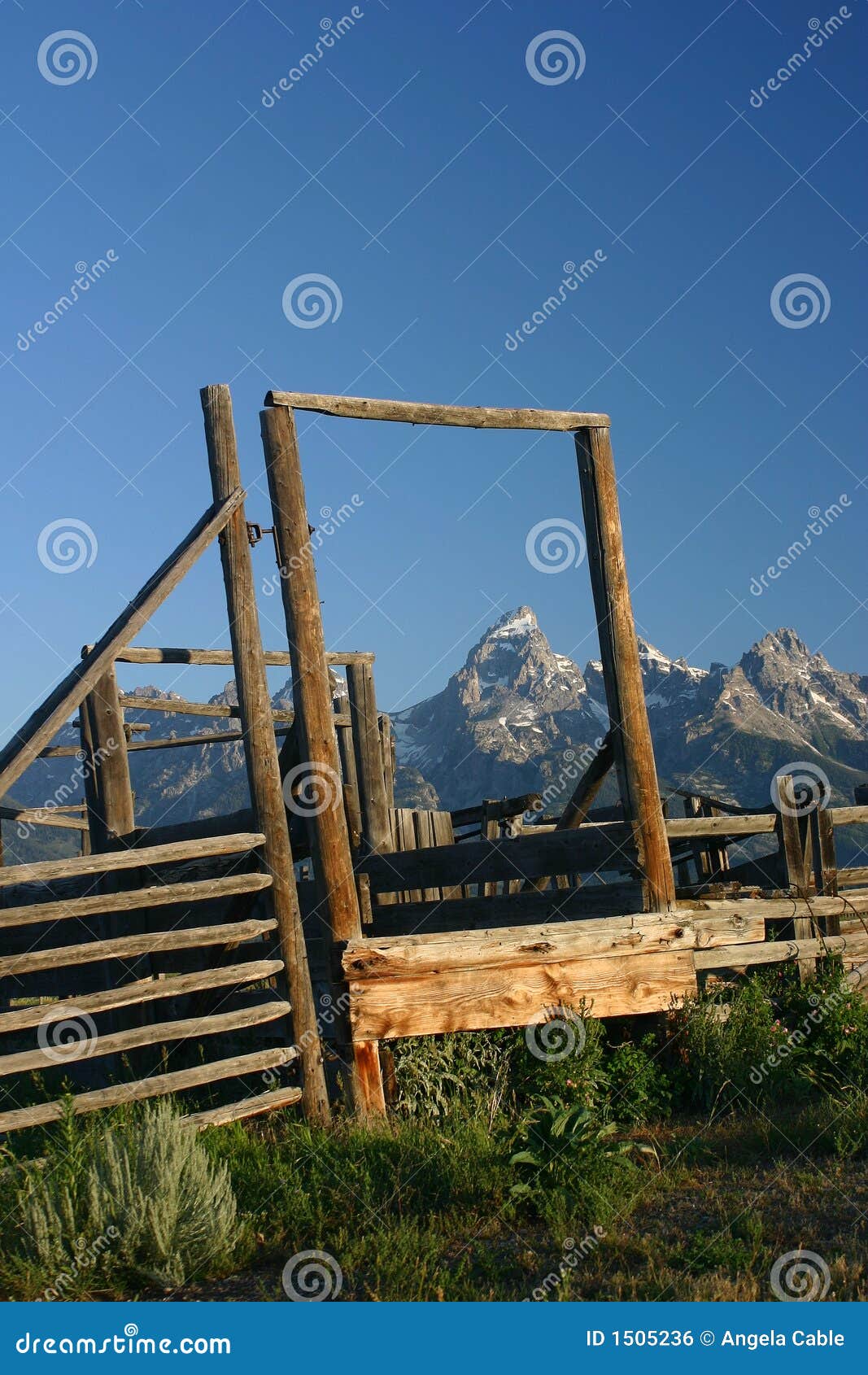 Grand Teton Corralled stock photo. Image of wood, range - 1505236