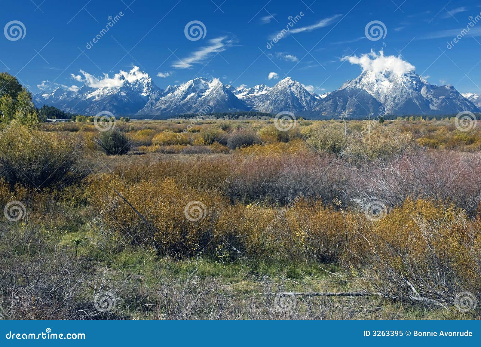 Grand Teton After First Snow Picture. Image: 3263395