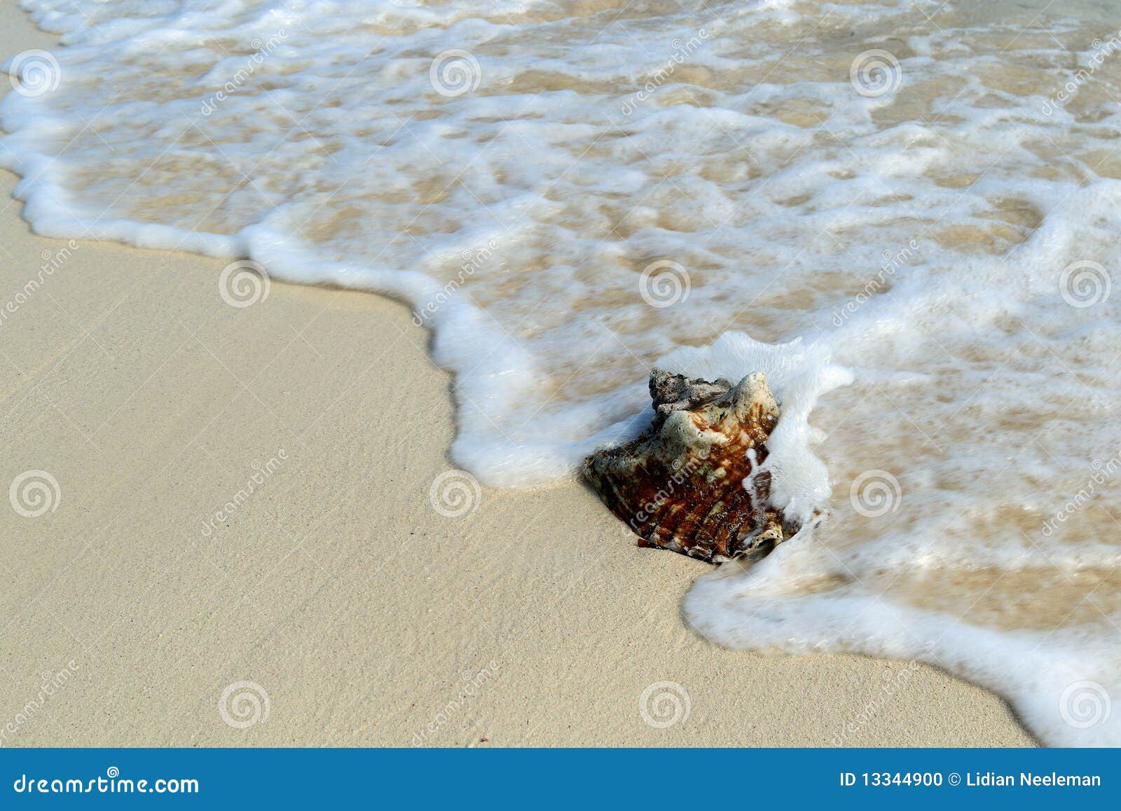 Grand Turk and Caicos stock photo. Image of wave, sand - 13344900
