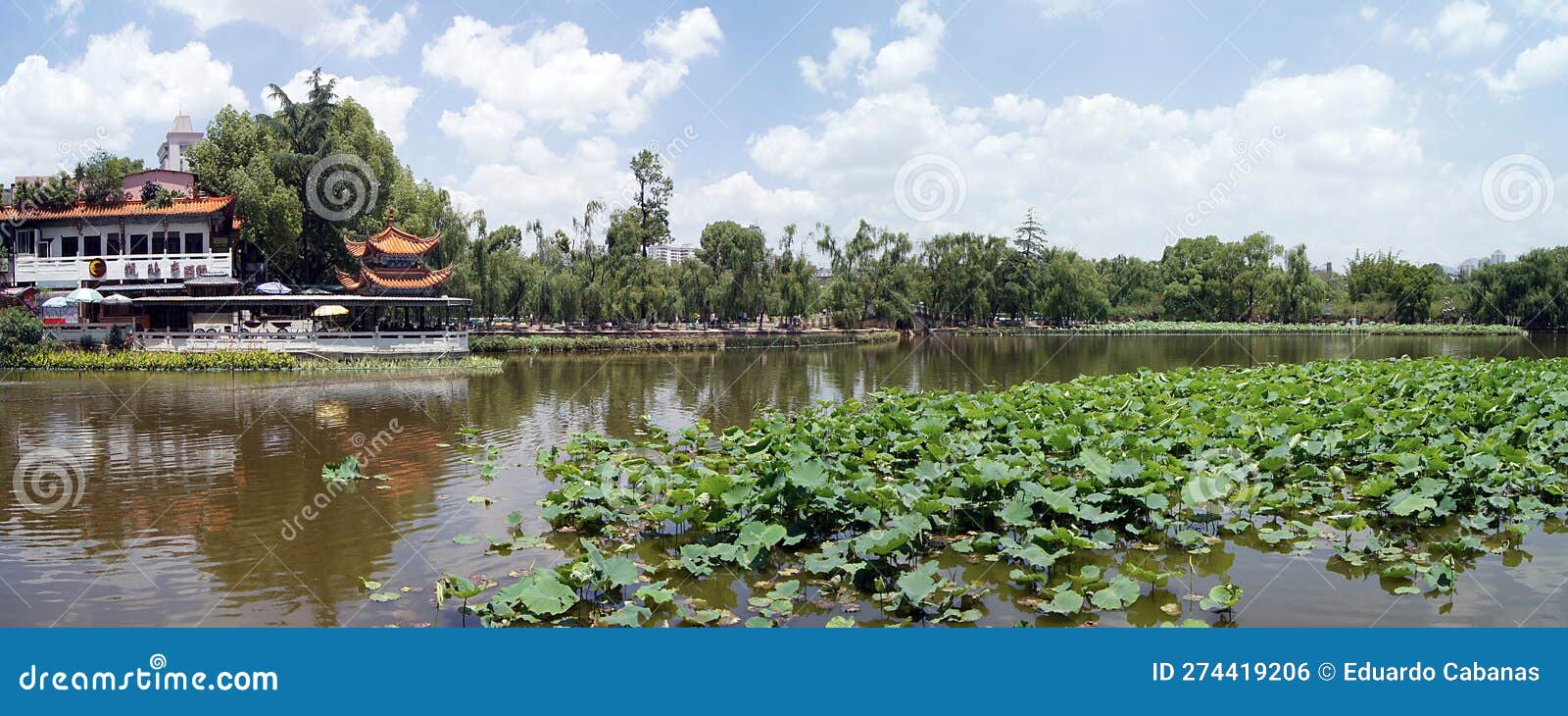 Grand View Park, Kunming, China Stock Photo - Image of garden, trees ...