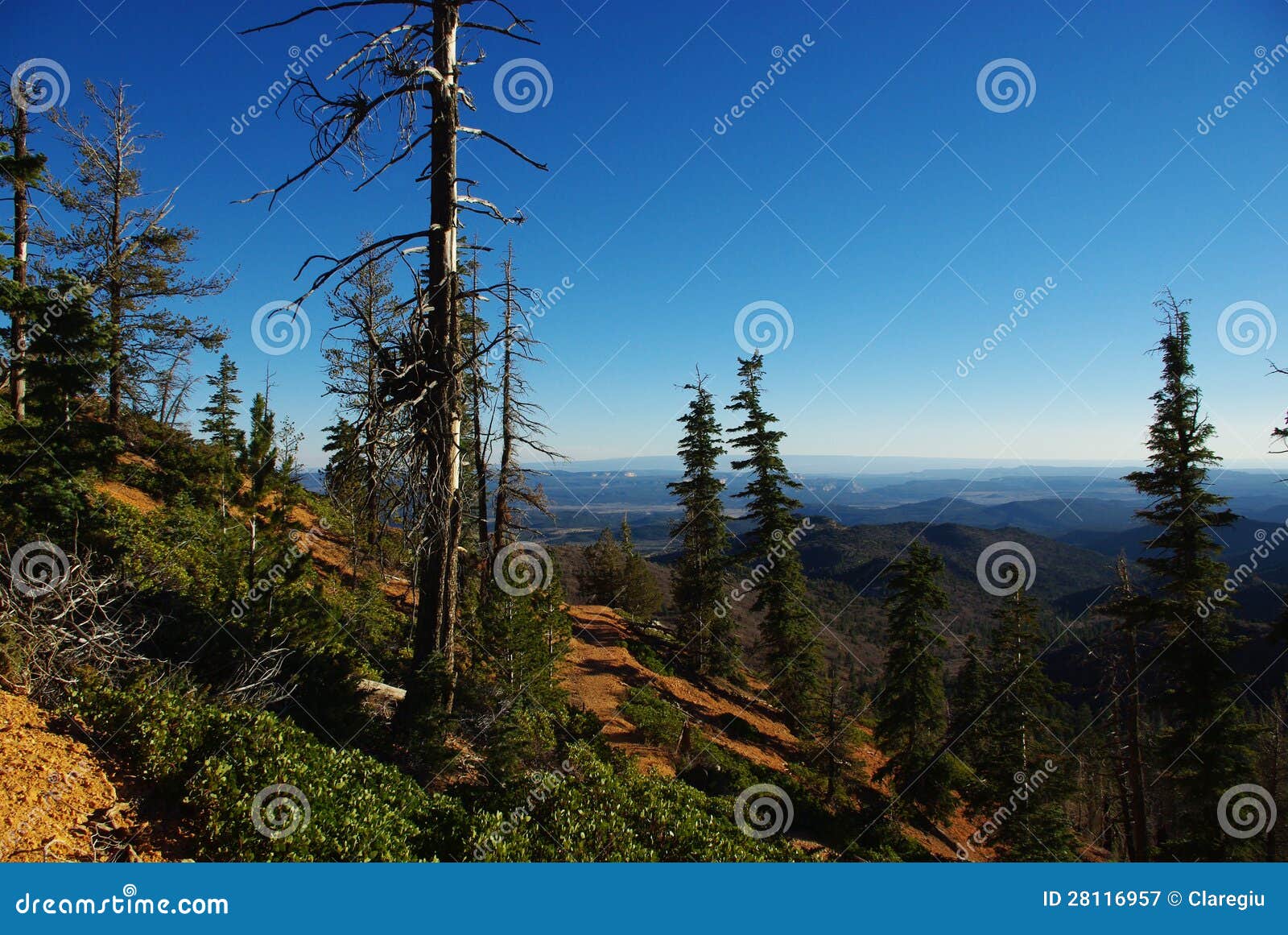 Grand View Trail, Utah stock image. Image of wide, view - 28116957