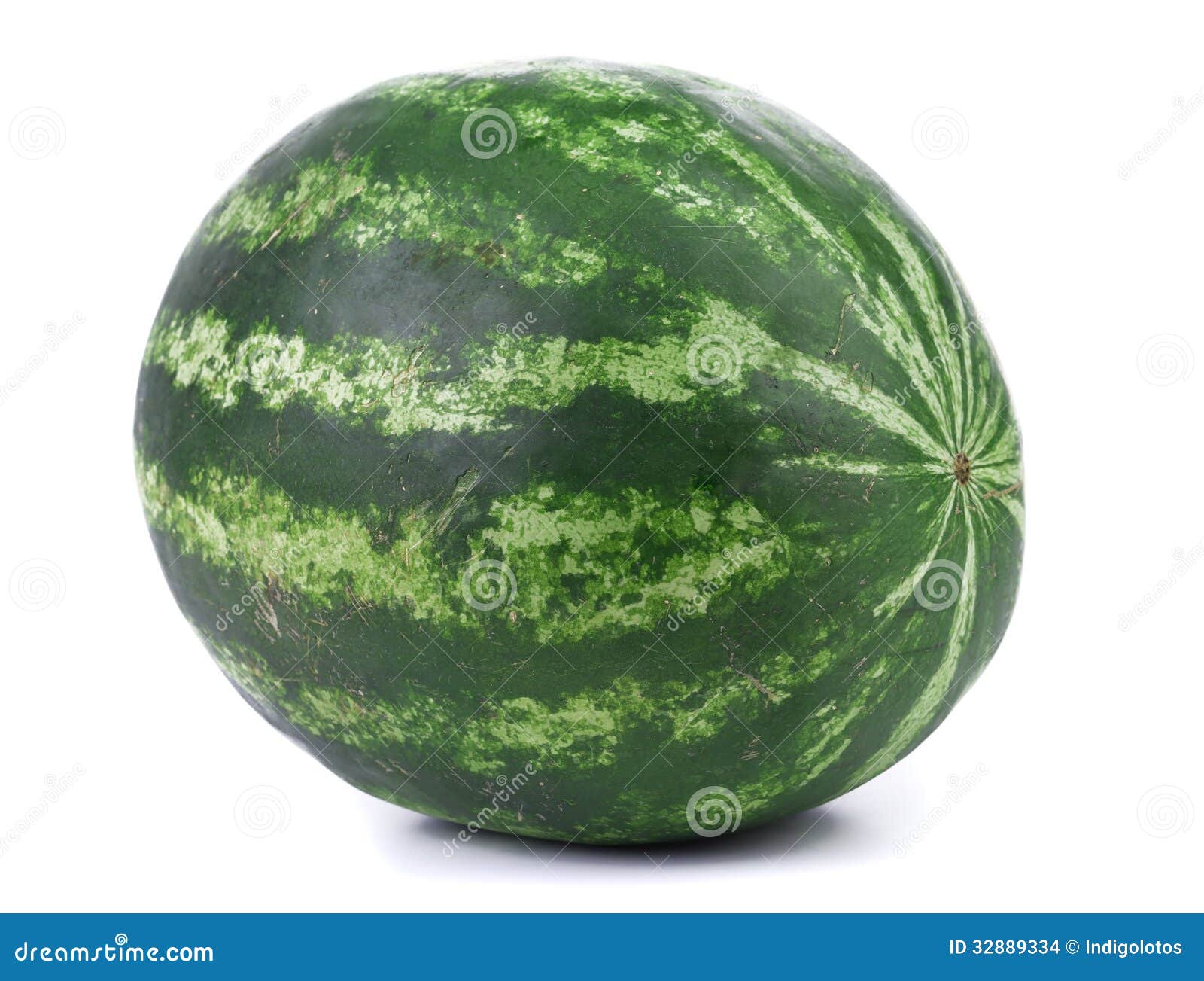 Grande anguria verde fotografia stock. Immagine di organico - 32889334