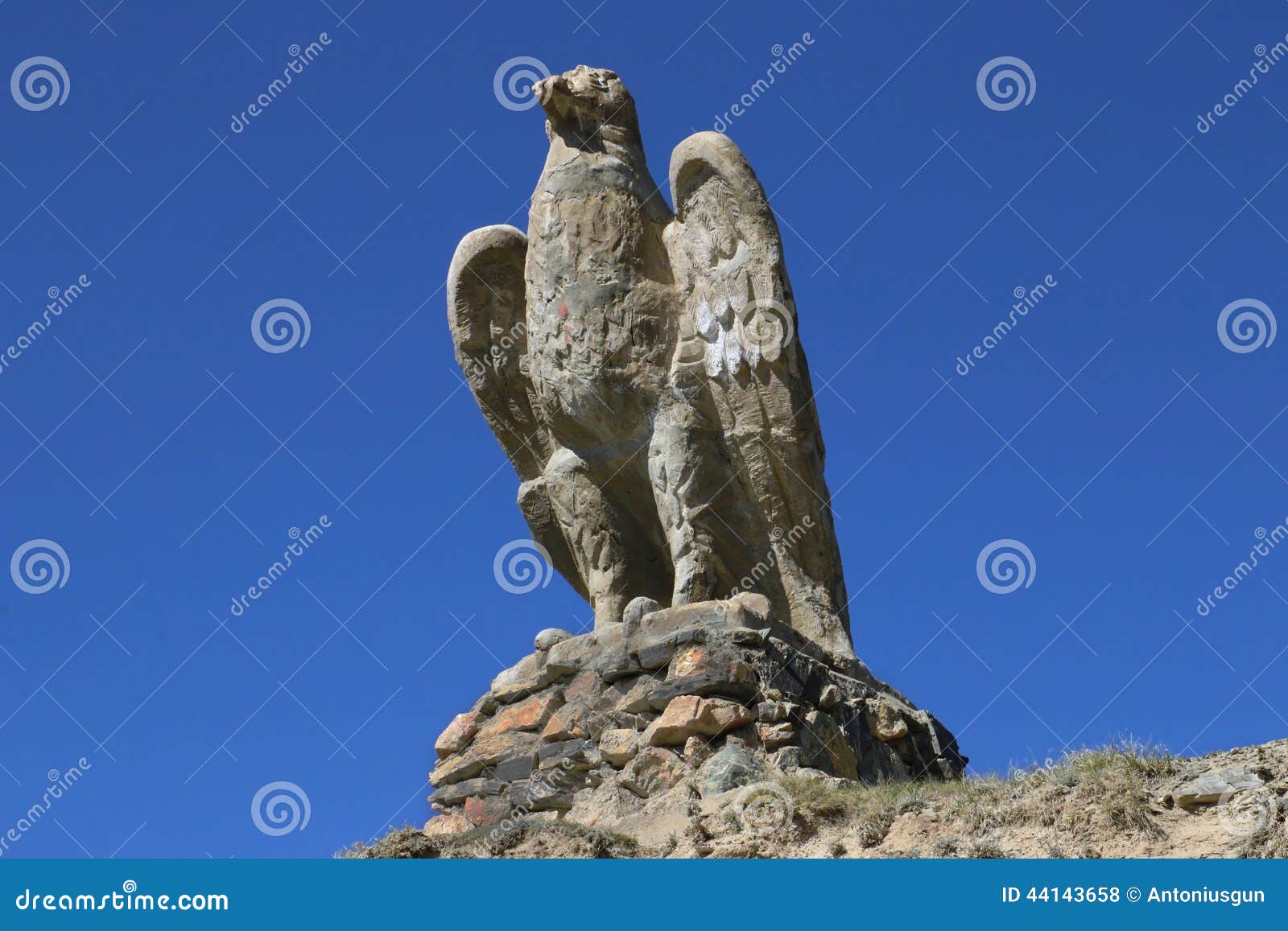 Grande aquila concreta fotografia stock. Immagine di lago - 44143658