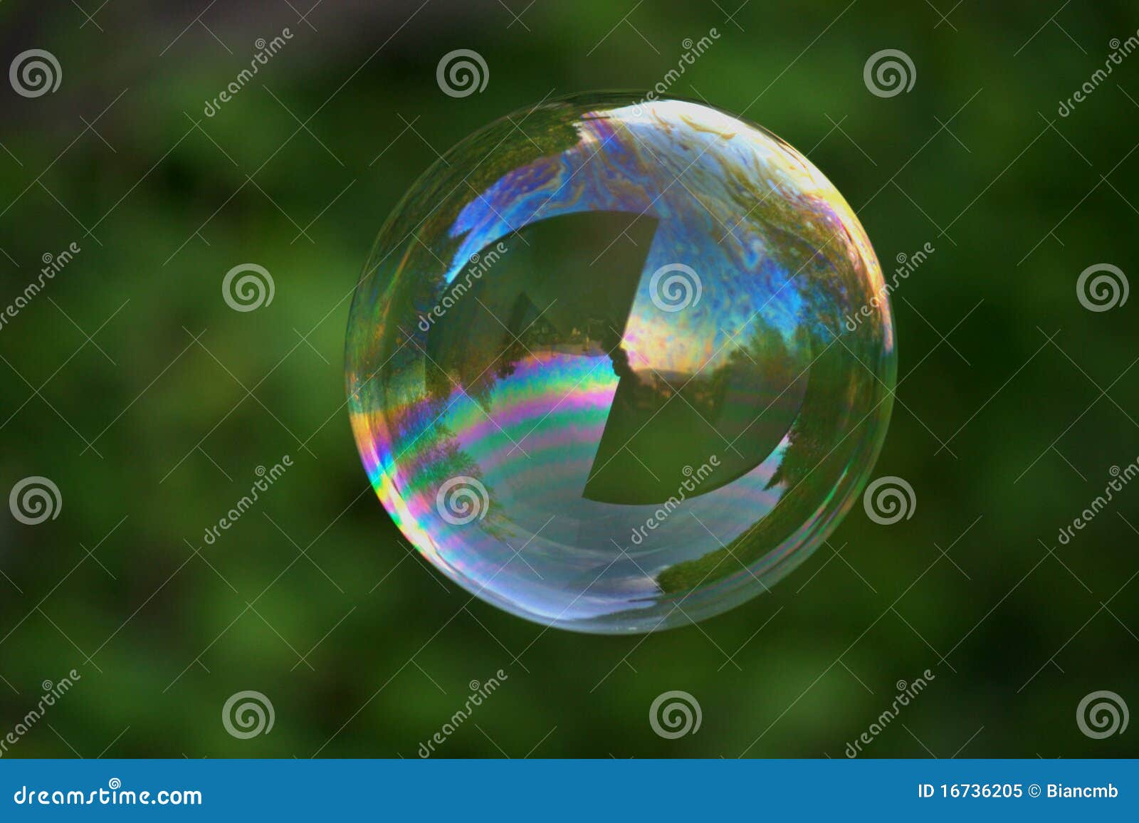 Grande Bolla Di Sapone Su Verde Immagine Stock - Immagine di lucidare ...