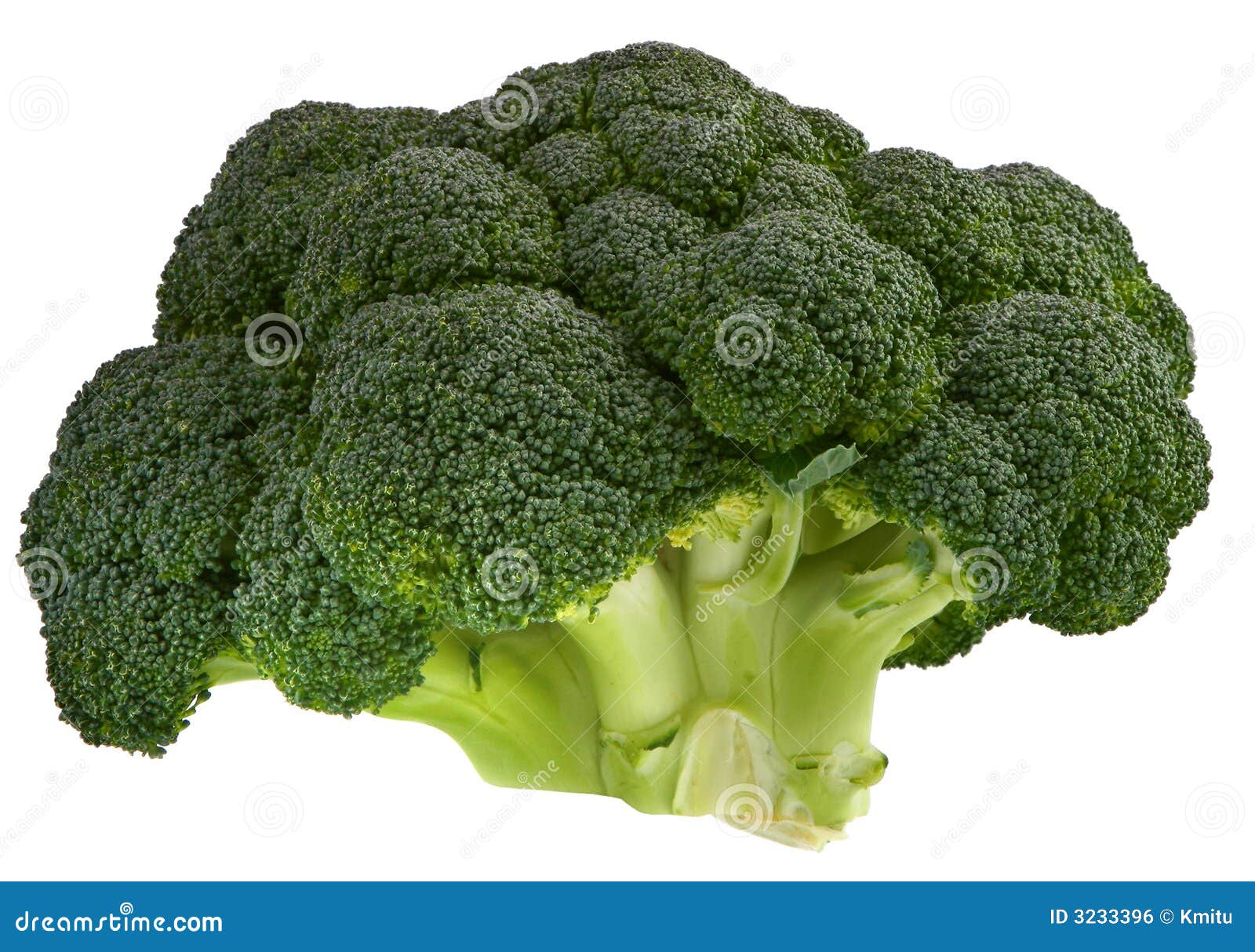 Grande broccolo fotografia stock. Immagine di isolamento - 3233396