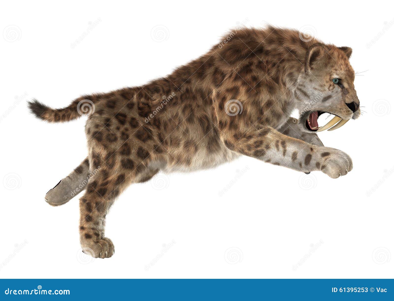 Grande Cat Sabertooth image stock. Image du éteint, sabre - 61395253