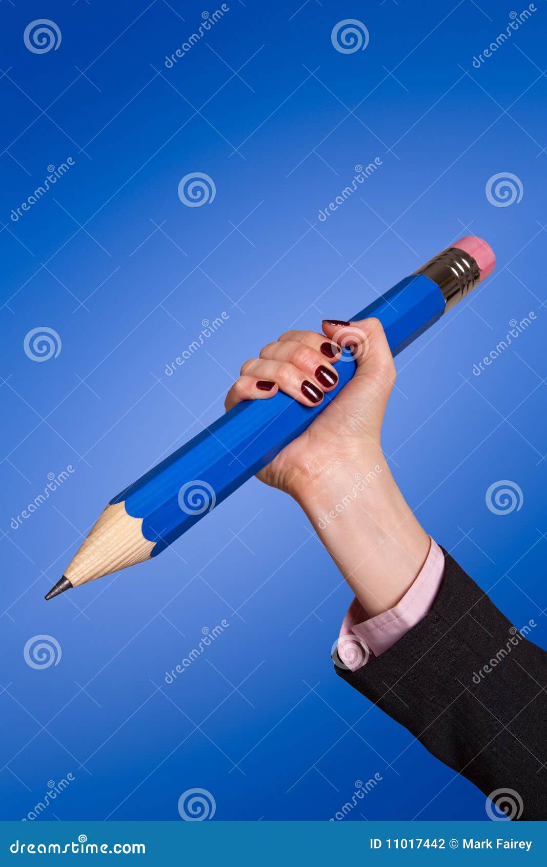 Grande corrija foto de stock. Imagem de imagem, ponto - 11017442