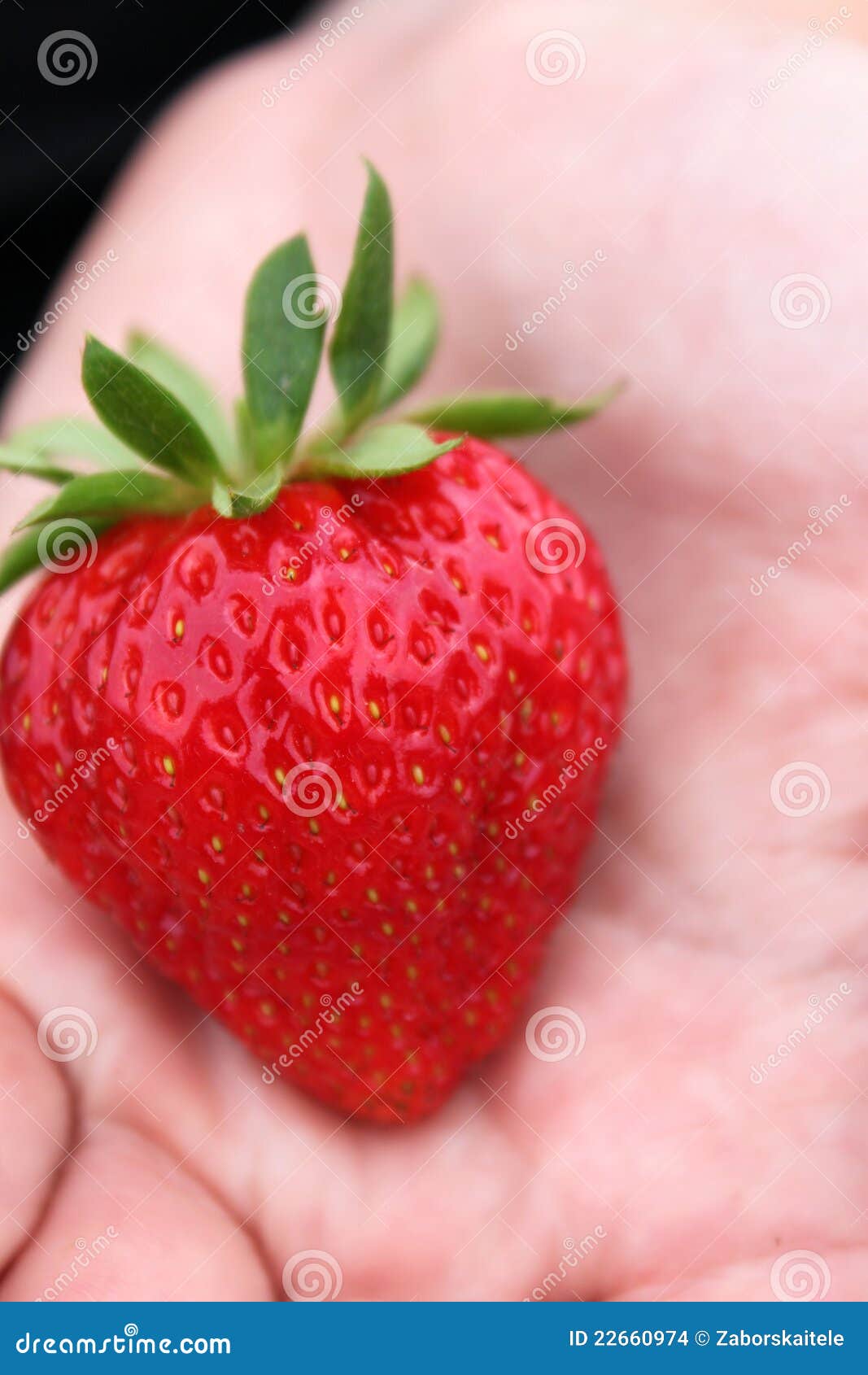 Grande fraise photo stock. Image of baie, fruits, agriculture - 22660974