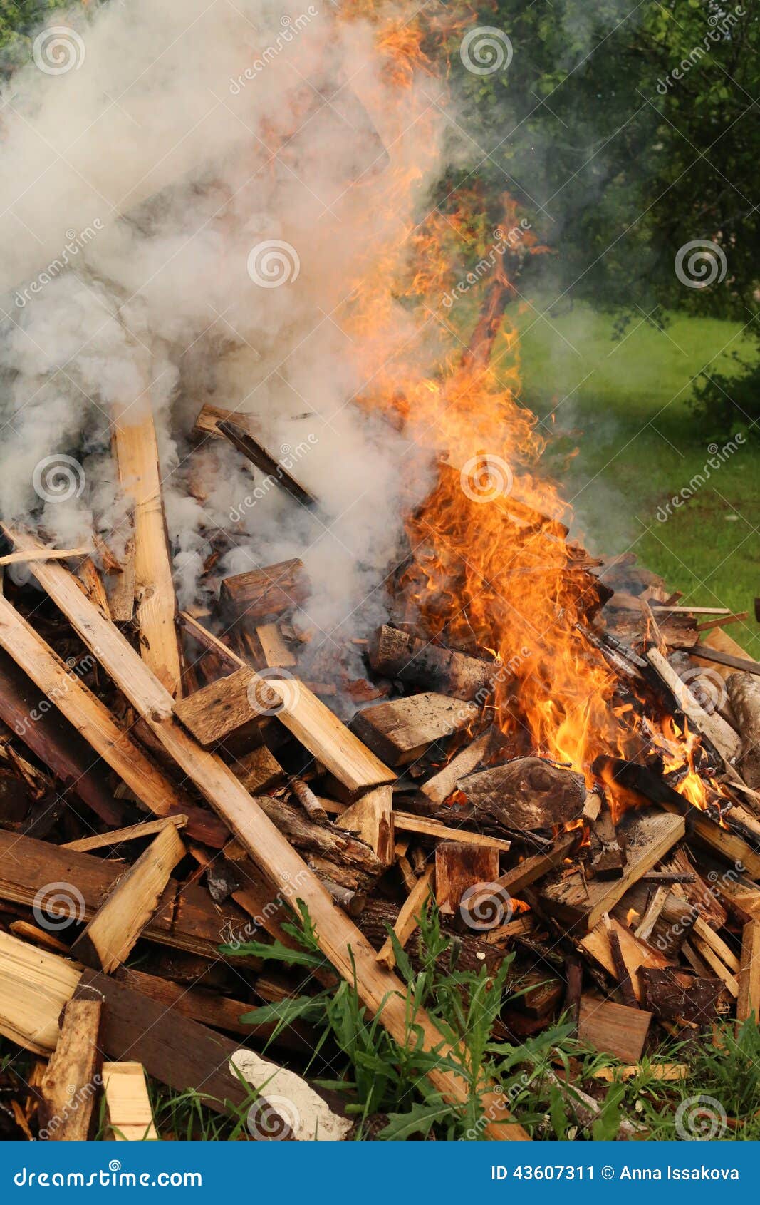 Grande fuoco immagine stock. Immagine di lago, esterno - 43607311