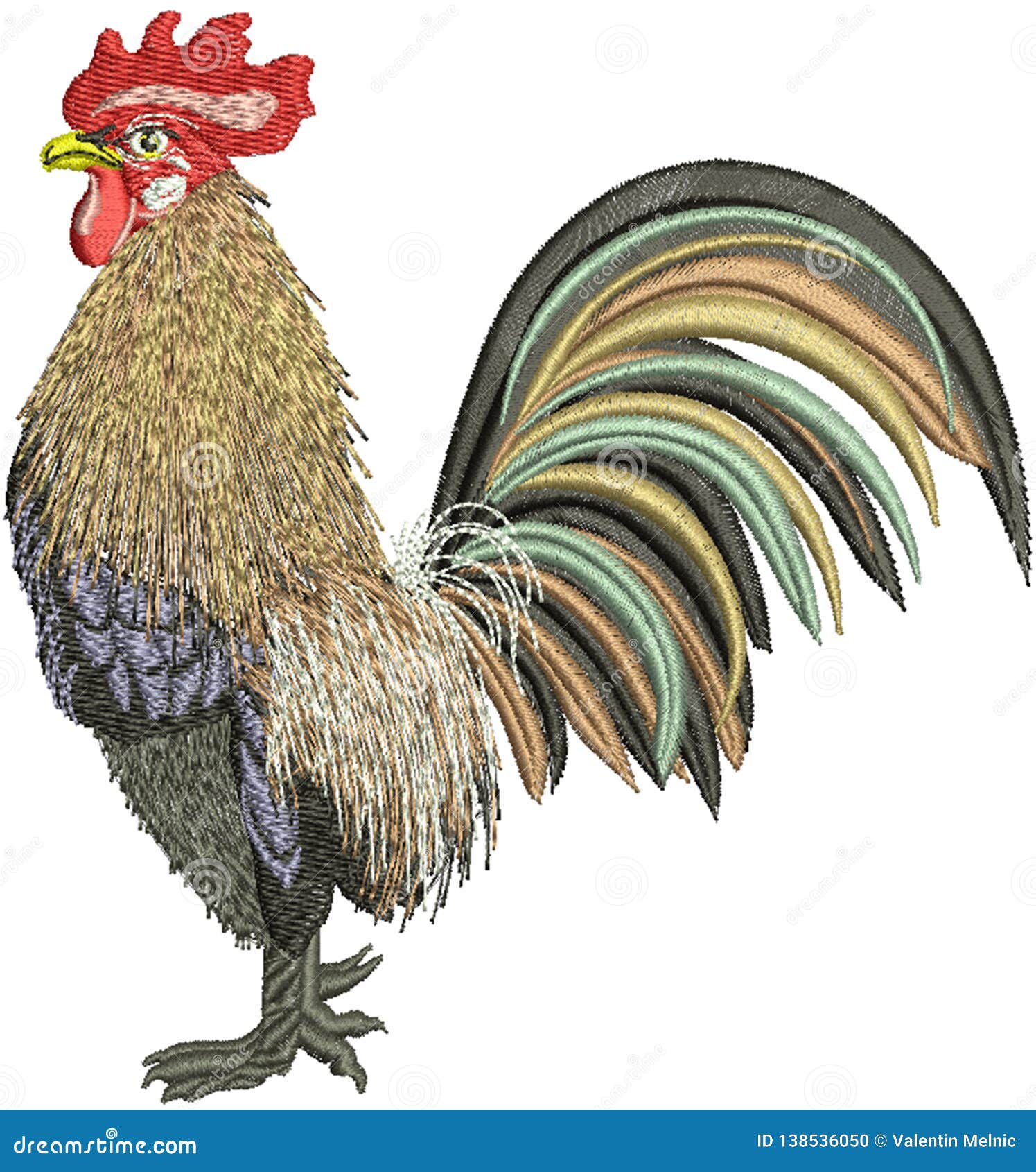 Grande Gallo Realistico - Gallo Illustrazione di Stock - Illustrazione ...