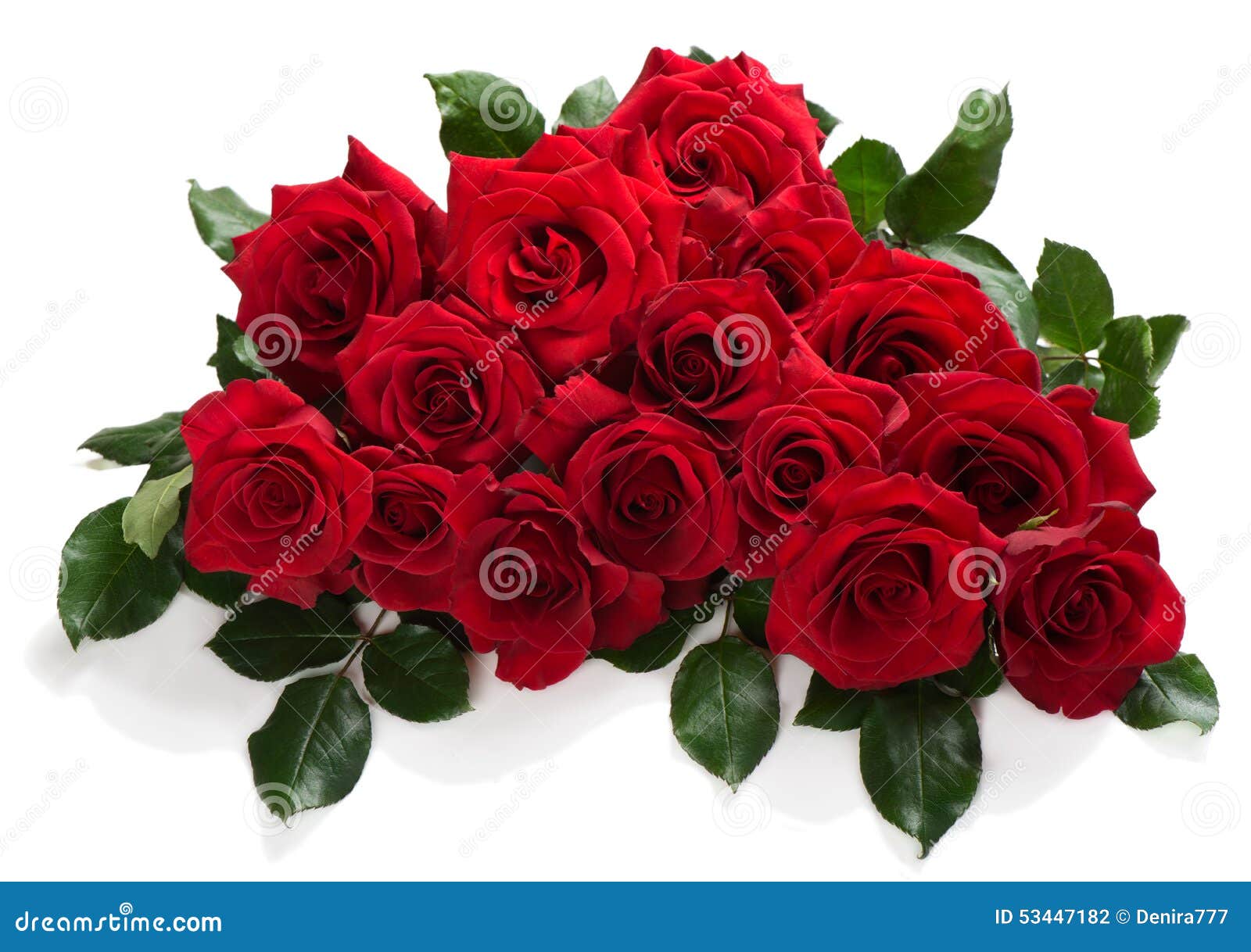 Grande Mazzo Delle Rose Rosse Fotografia Stock - Immagine di fiore ...