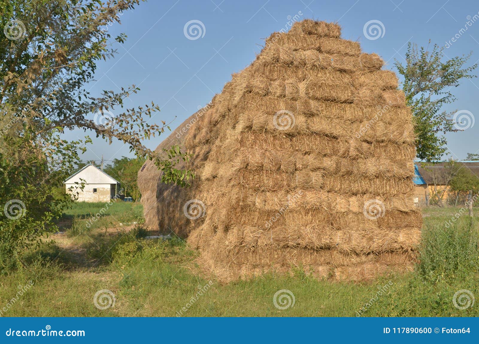Grande monte de feno foto de stock. Imagem de nave, outono - 117890600