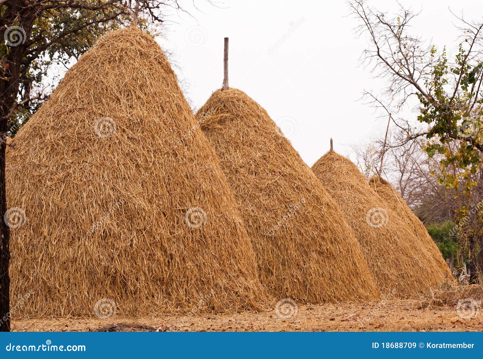Grande mucchio di paglia immagine stock. Immagine di podere - 18688709