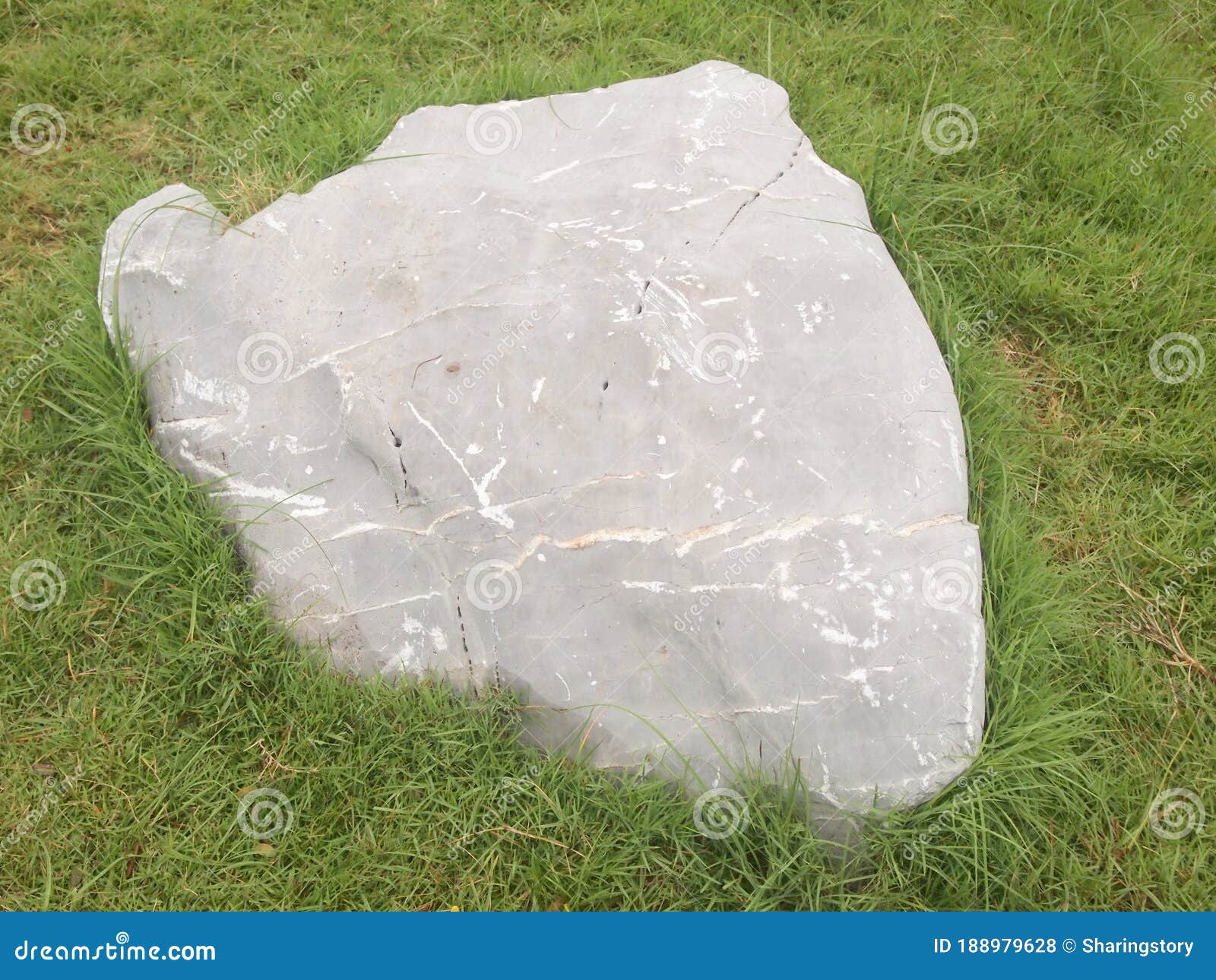 Grande pierre photo stock. Image du vert, sauvage, herbe - 188979628