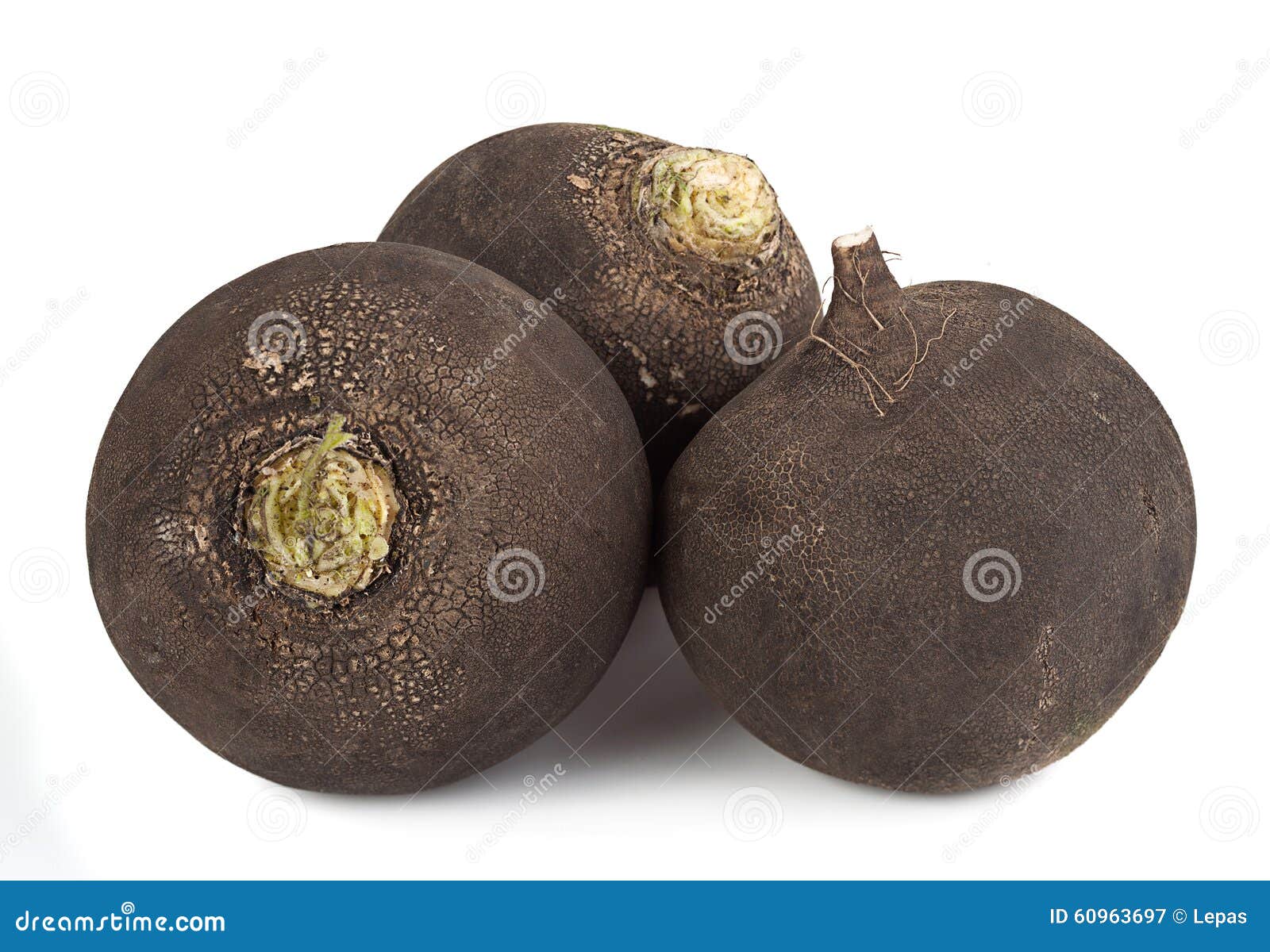 Grande ravanello nero immagine stock. Immagine di rotondo - 60963697