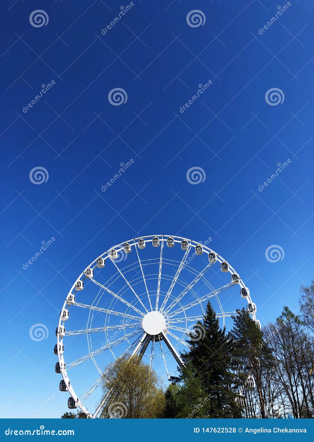 Grande Roue Blanche Dans La Vue De Parc Photo stock - Image du métal ...