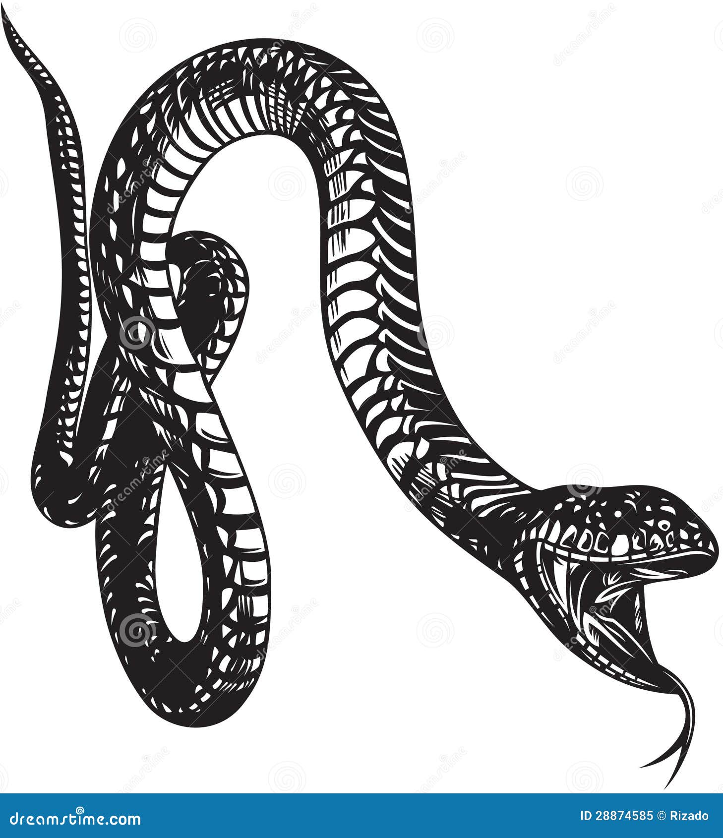 Grande Serpente Con La Bocca Aperta Illustrazione Vettoriale ...