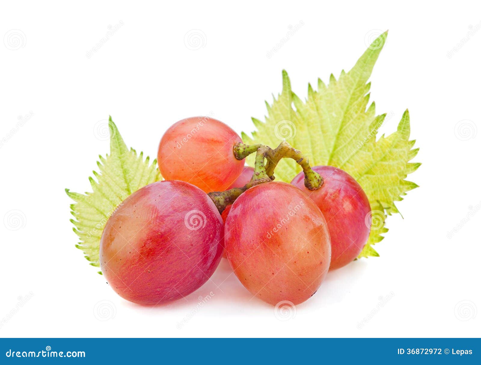 Grande uva rosa fotografia stock. Immagine di pieno, dolce - 36872972