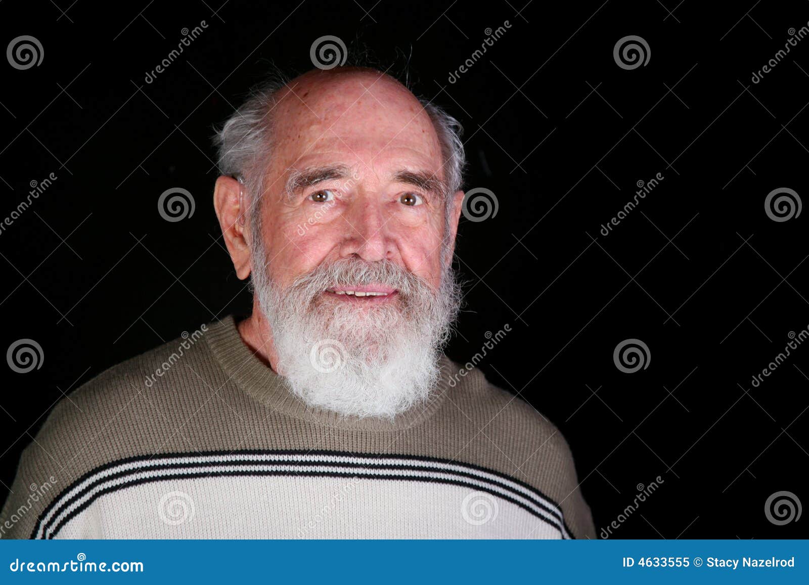 Grandfather stock image. Image of grandparent, gray, elderly - 4633555