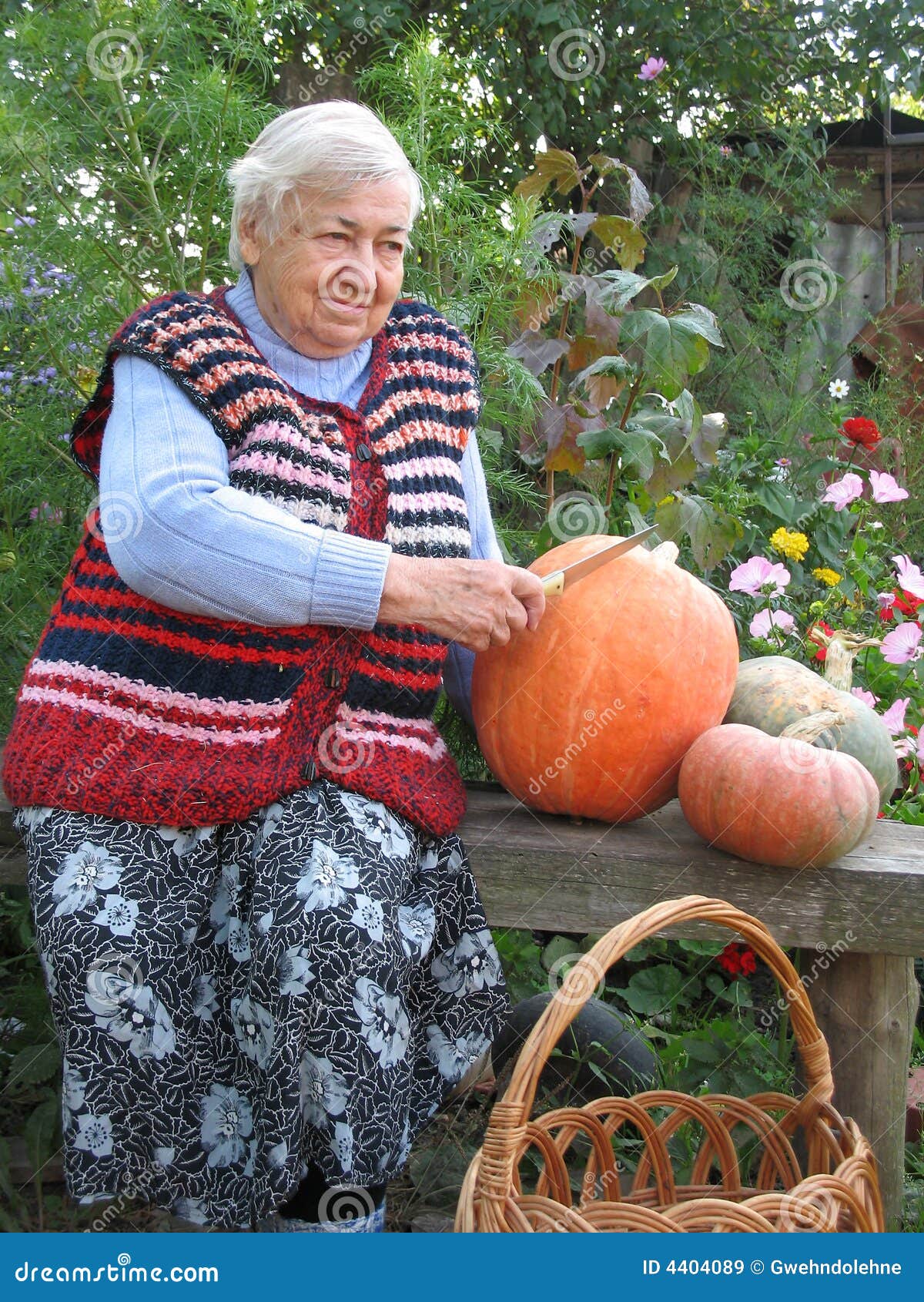 Grandma With Pumpkins Picture. Image: 4404089