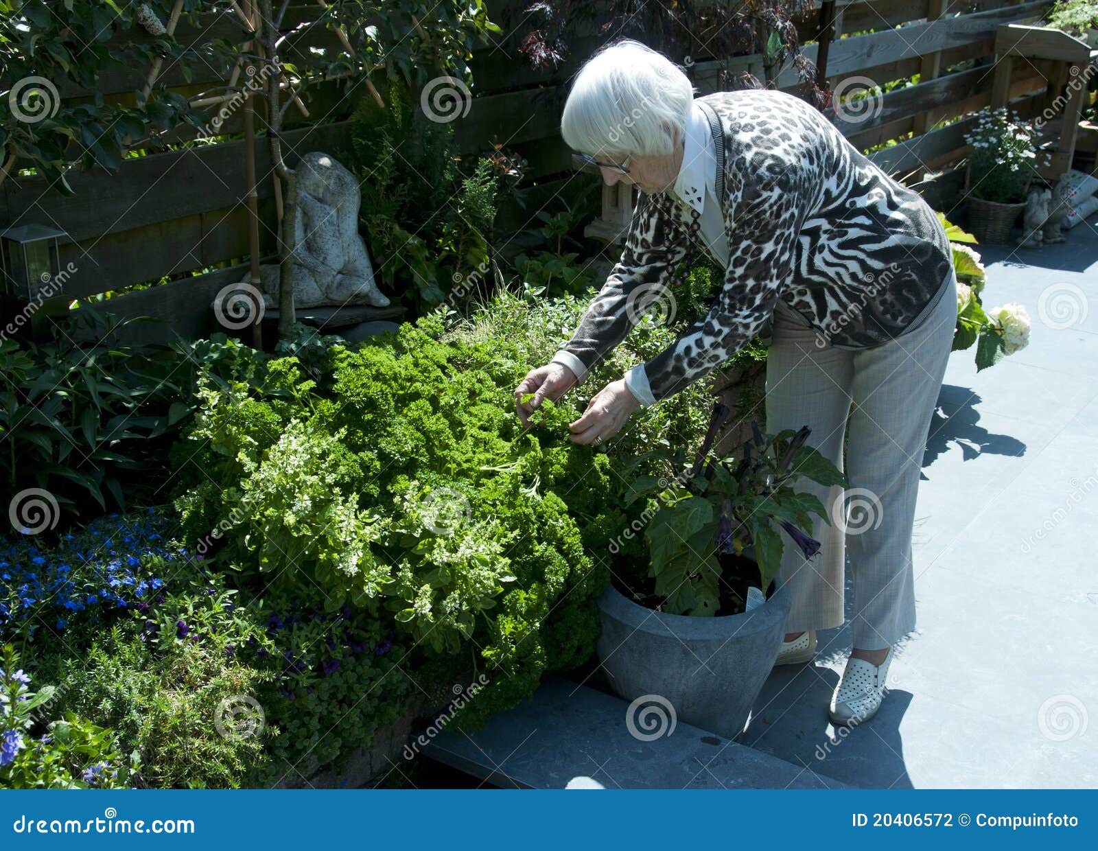 Grandma Working in the Garden Stock Photo - Image of people, pension ...