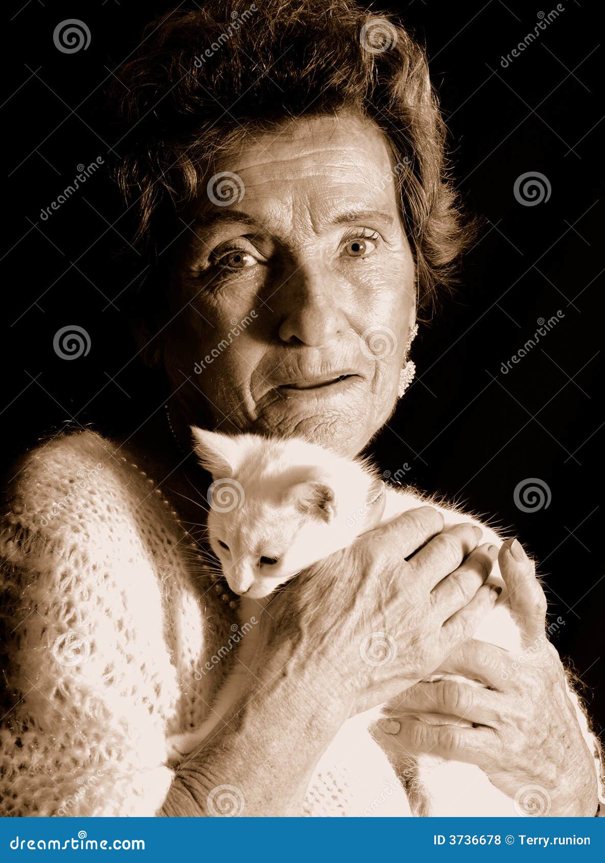Grandmother and cat stock photo. Image of family, women - 3736678