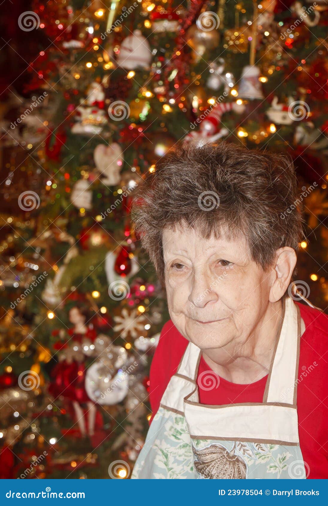 Grandmother at Christmas stock photo. Image of ball, merry - 23978504
