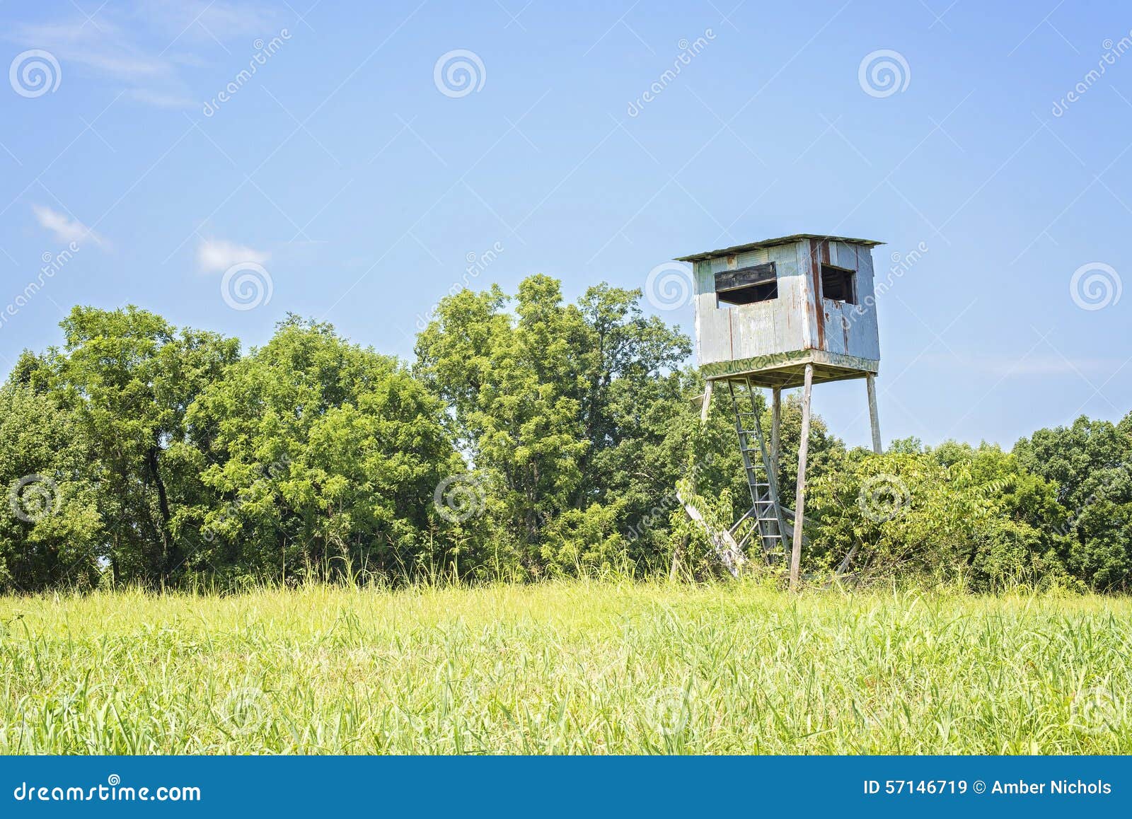 Grandpa s Tree Stand stock image. Image of fairytale - 57146719