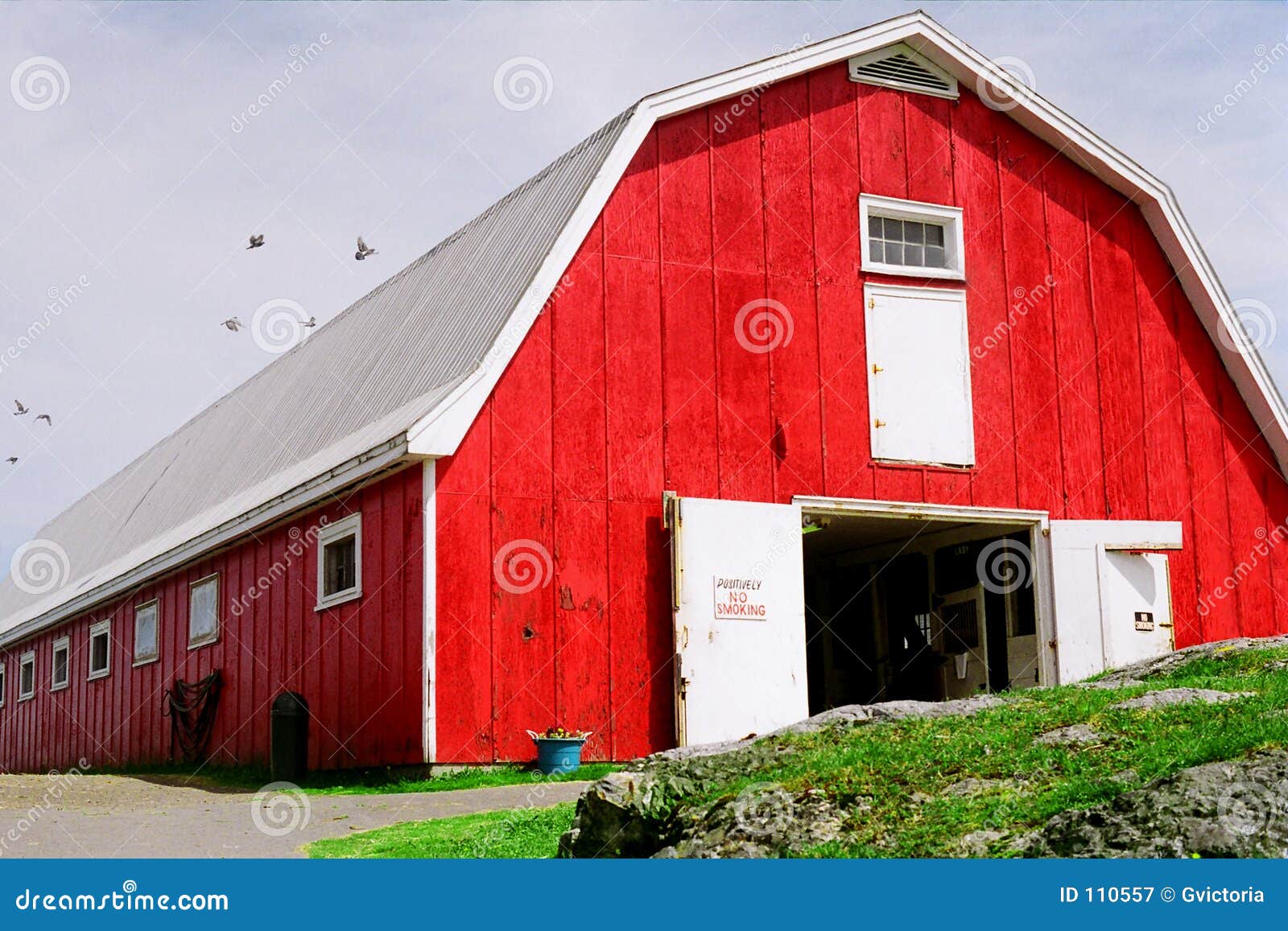 Granero rojo imagen de archivo. Imagen de puertas, animales - 110557