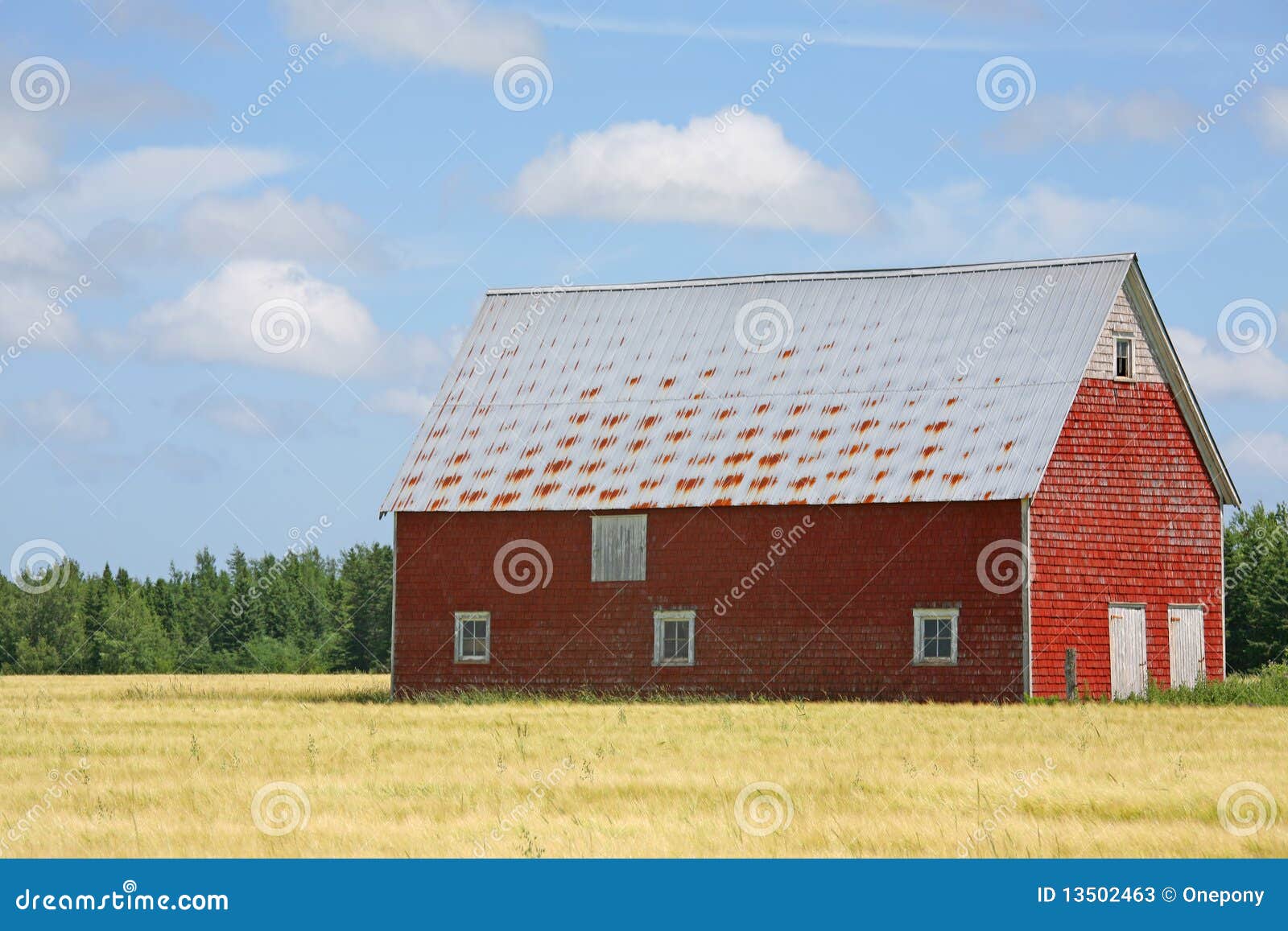 Granero rojo imagen de archivo. Imagen de prado, granero - 13502463