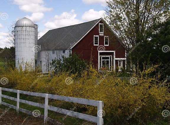 Granero y silo imagen de archivo. Imagen de cerca, flor - 790267