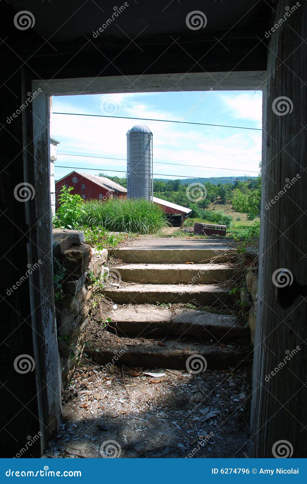 Grange Et Silo Rouges De Cave Photo stock - Image du cave, trappe: 6274796