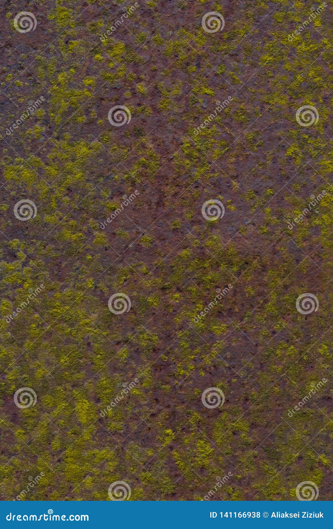 A Sheet of Rusty Metal with Mold Stock Photo - Image of mildew ...