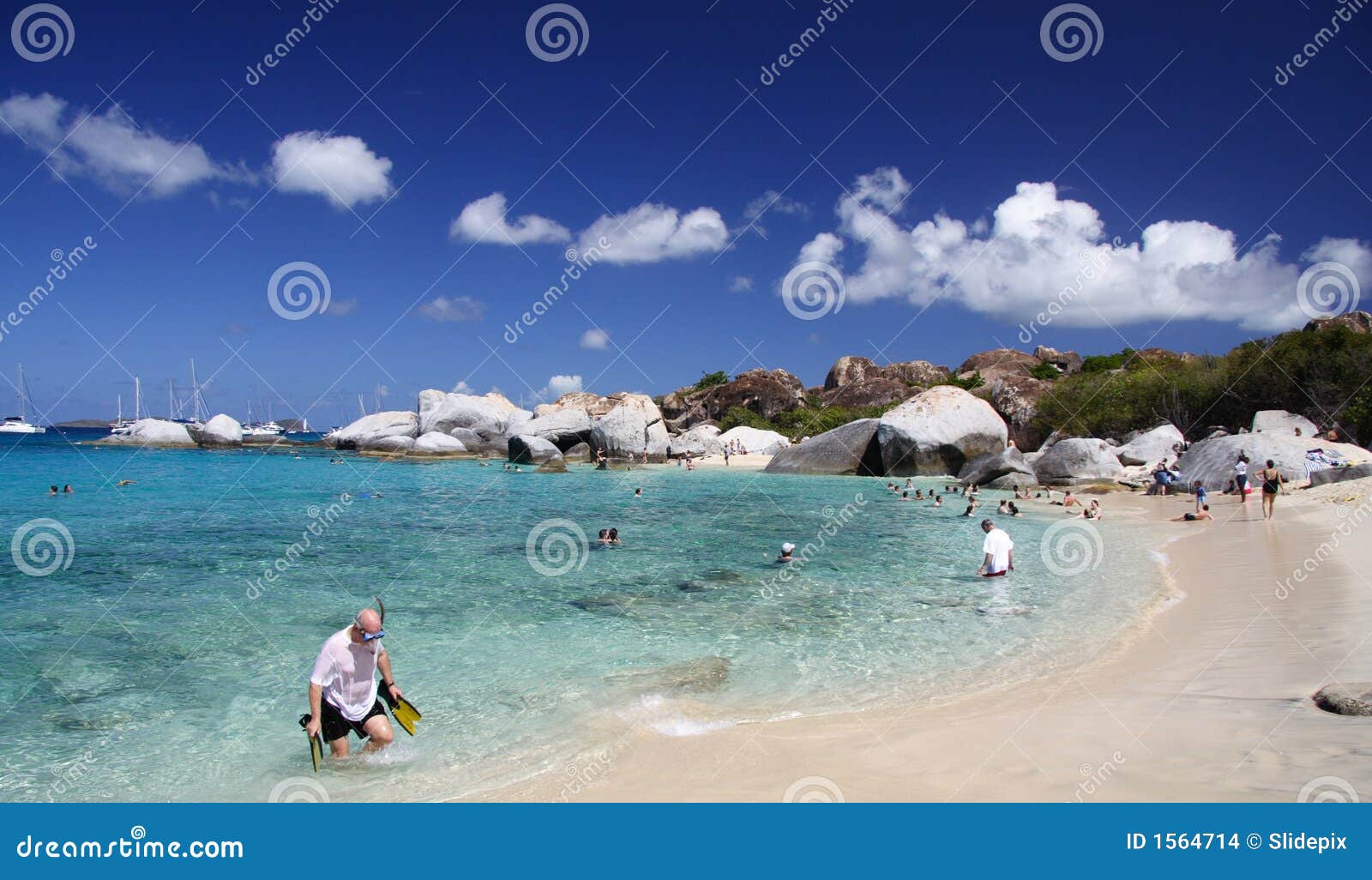 Granite Beach Picture. Image: 1564714