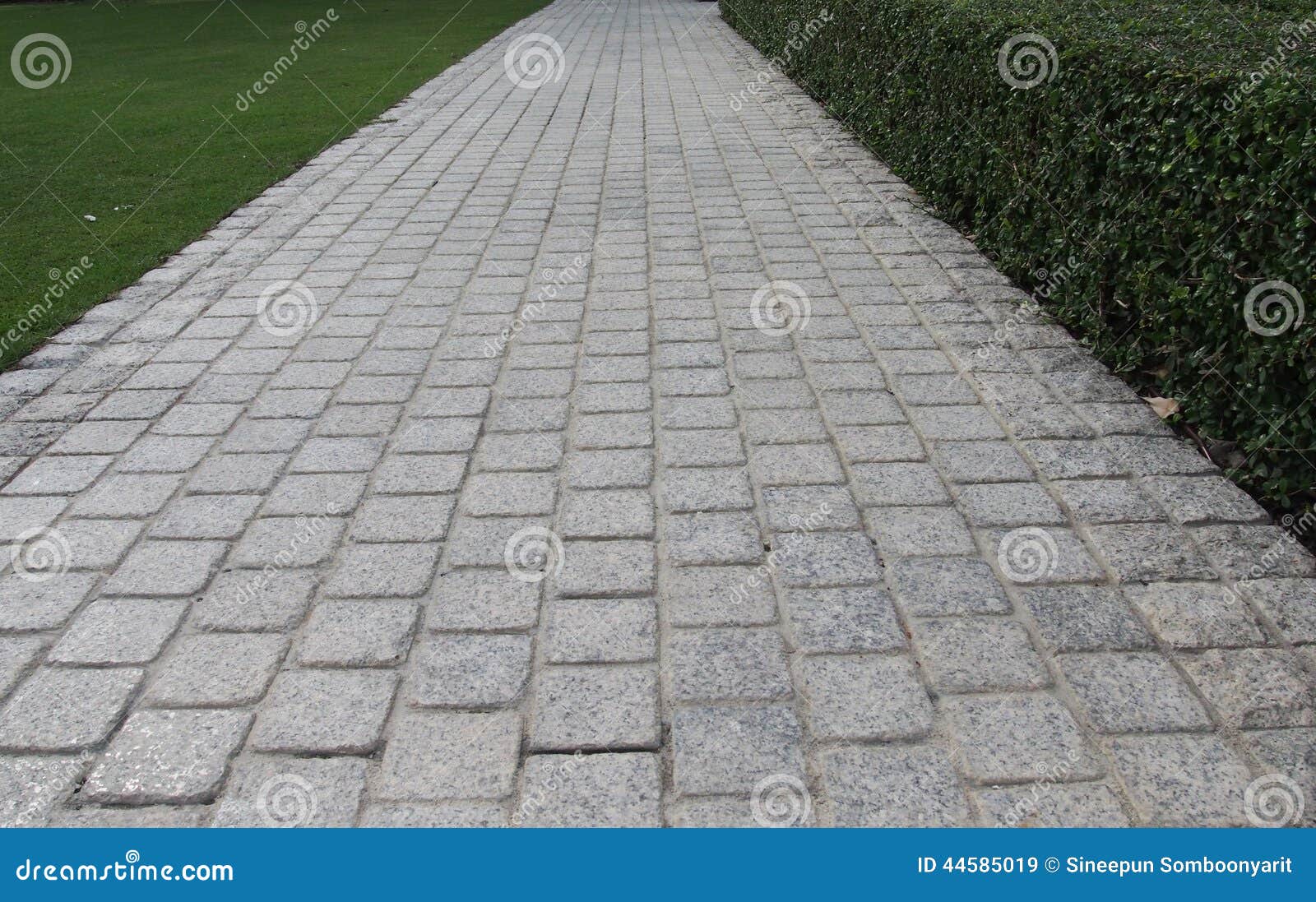 Granite block flooring stock image. Image of gardening - 44585019
