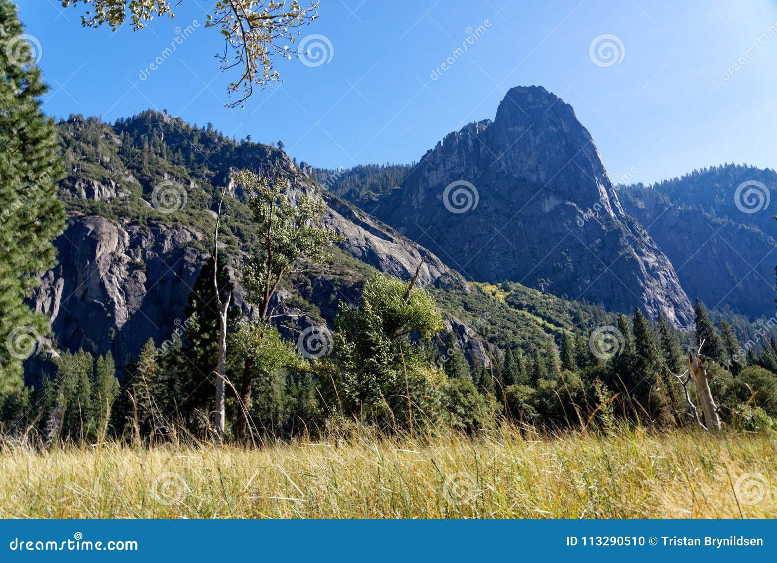 Granite Cliffs in the Sierra Nevada Mountains Stock Photo - Image of ...