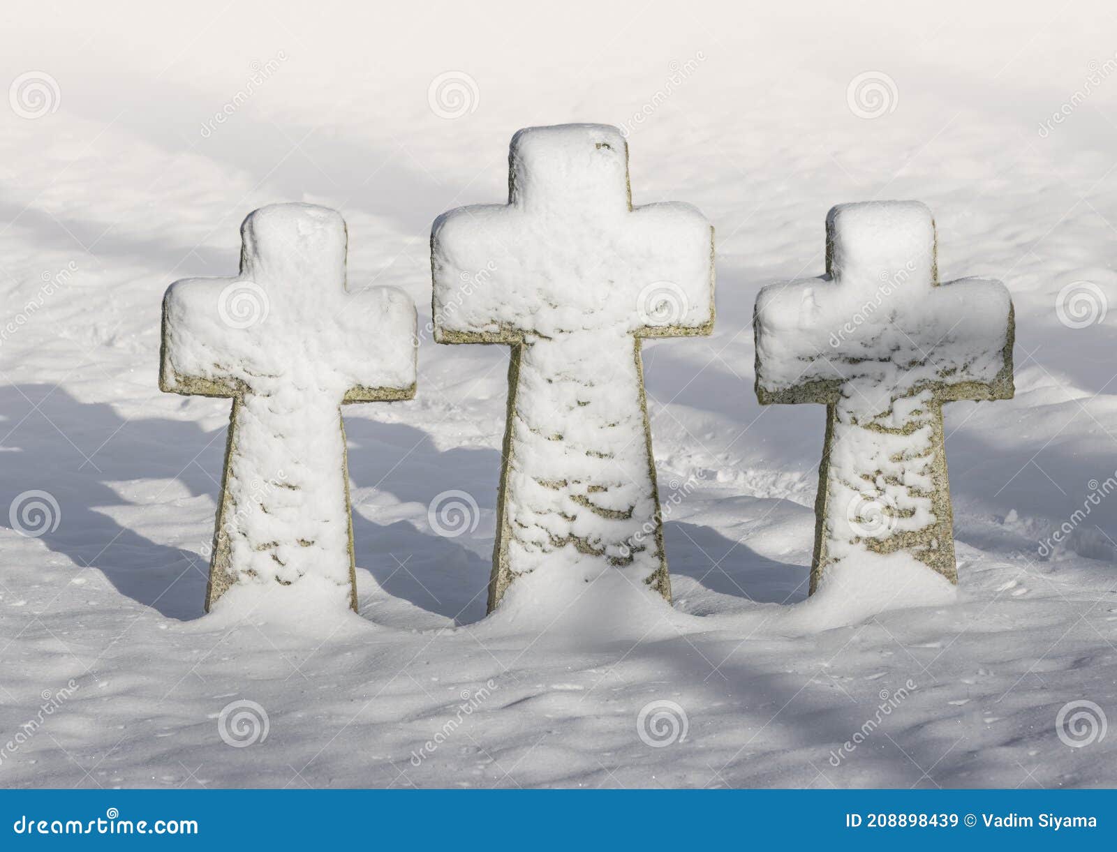 Two Granite Crosses Marking Graves, Lie Hidden Under Overgrowing ...