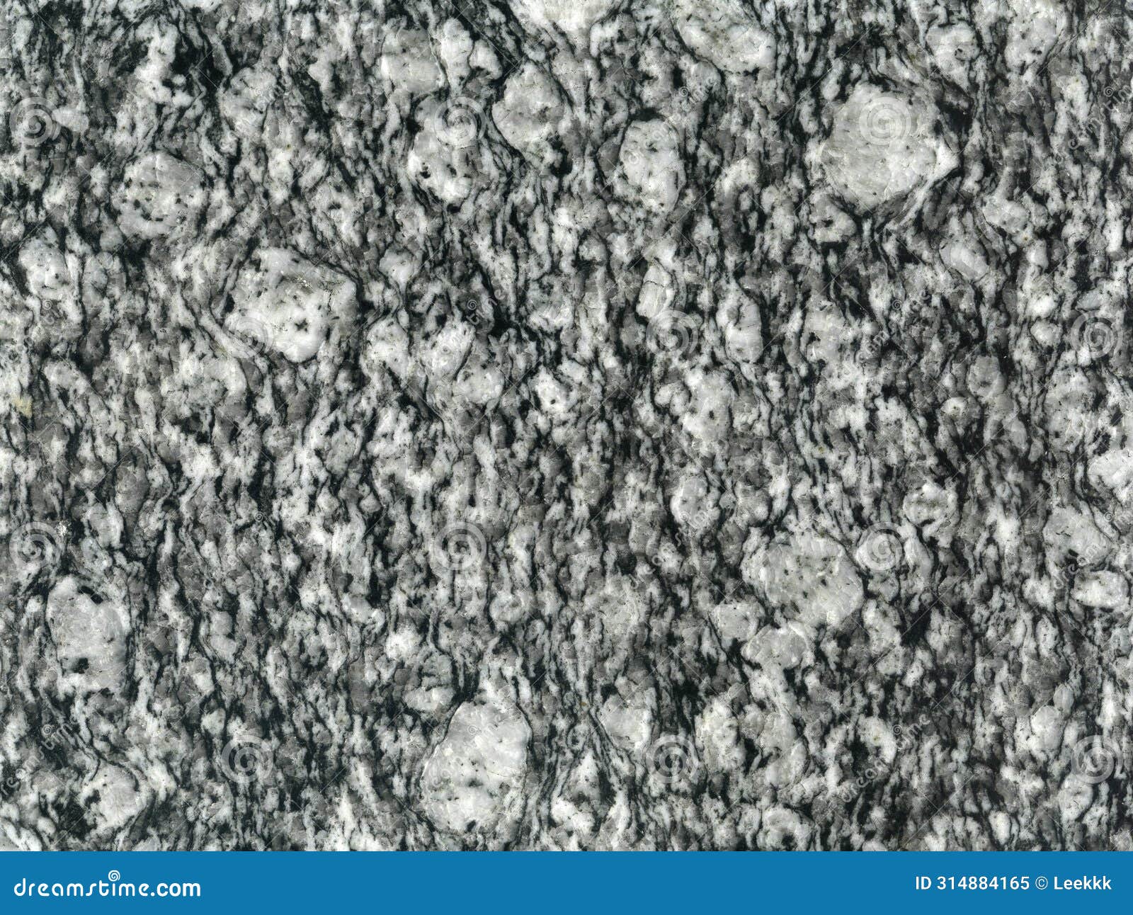 Spary White Granite Grain Stone Slab Floor Tile Background Stock Image ...